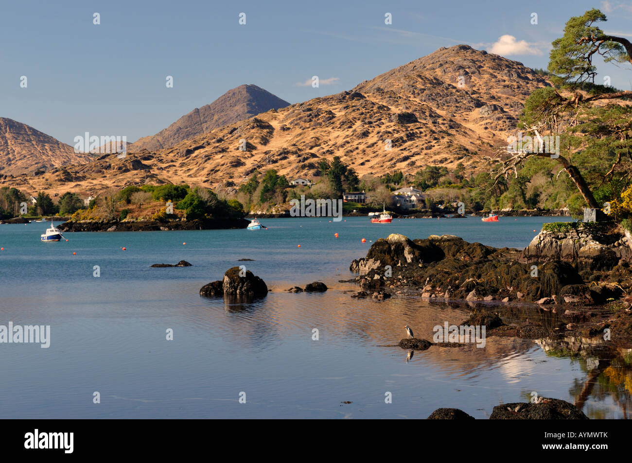 Rugged coastal scenery under a clear blue sky along the beara peninsula ...