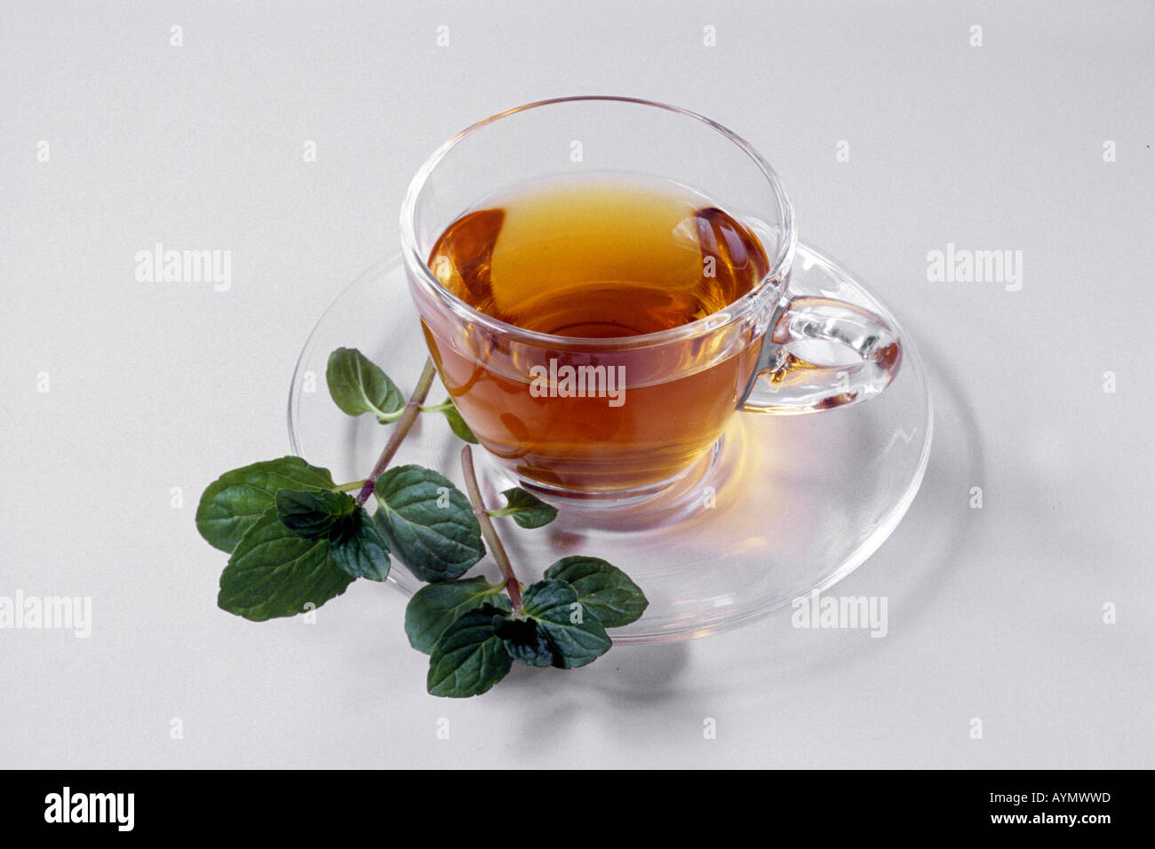 Peppermint tea mentha x piperita hi-res stock photography and images ...