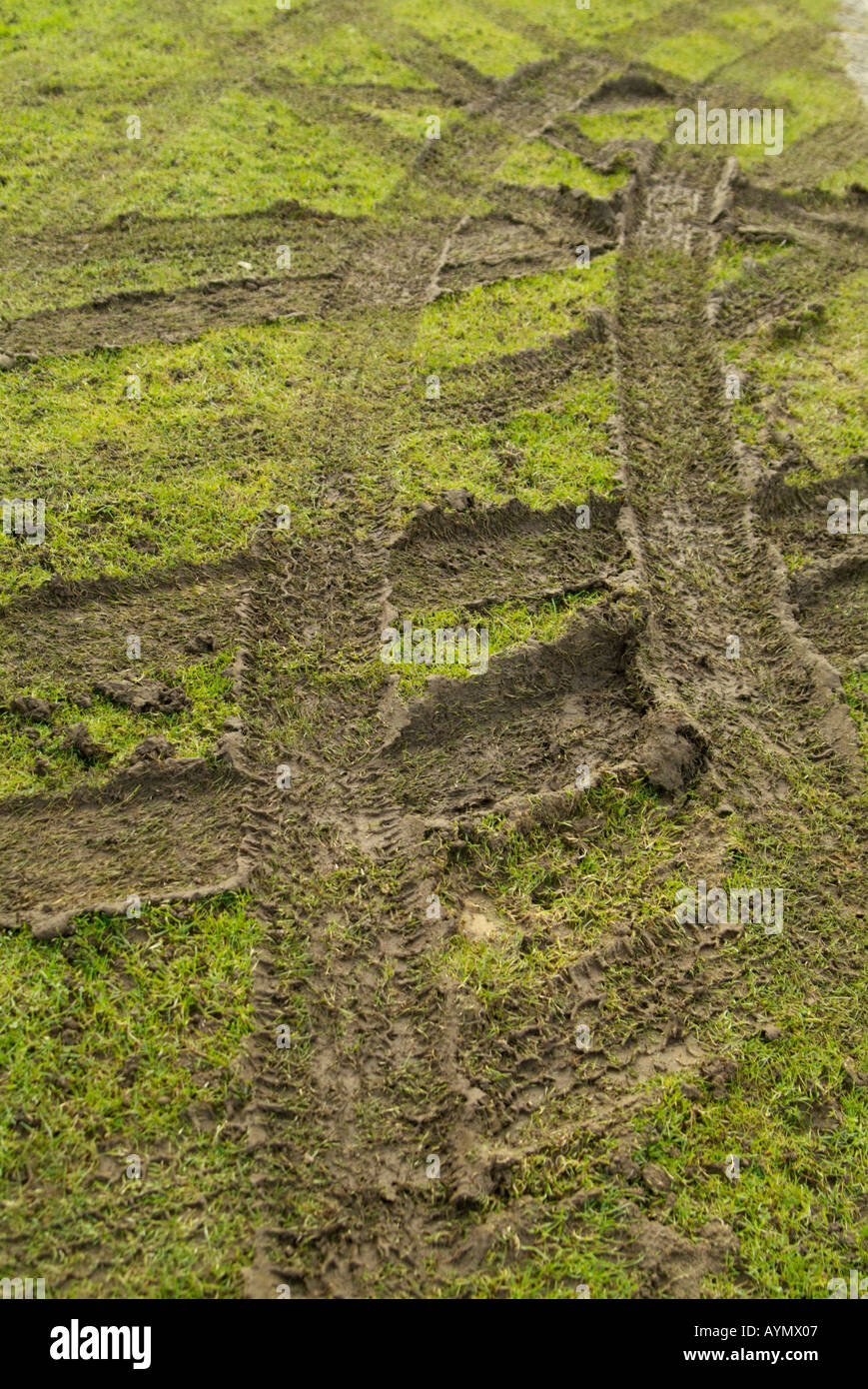 wheel marks in a grass field Stock Photo - Alamy