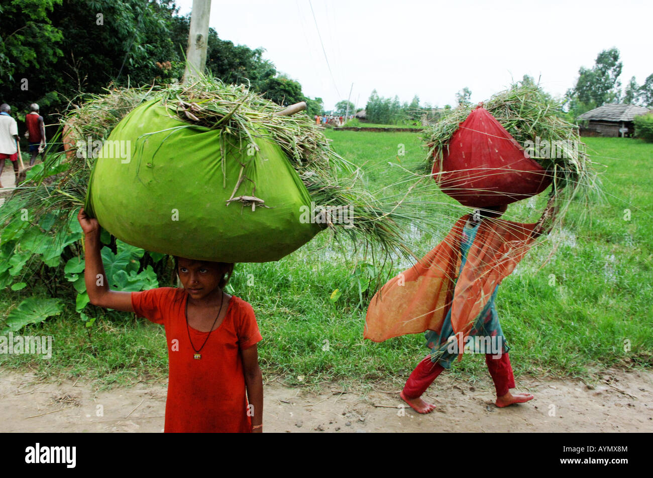 Children carry sacks of rice in Tarai, Nepal Stock Photo - Alamy