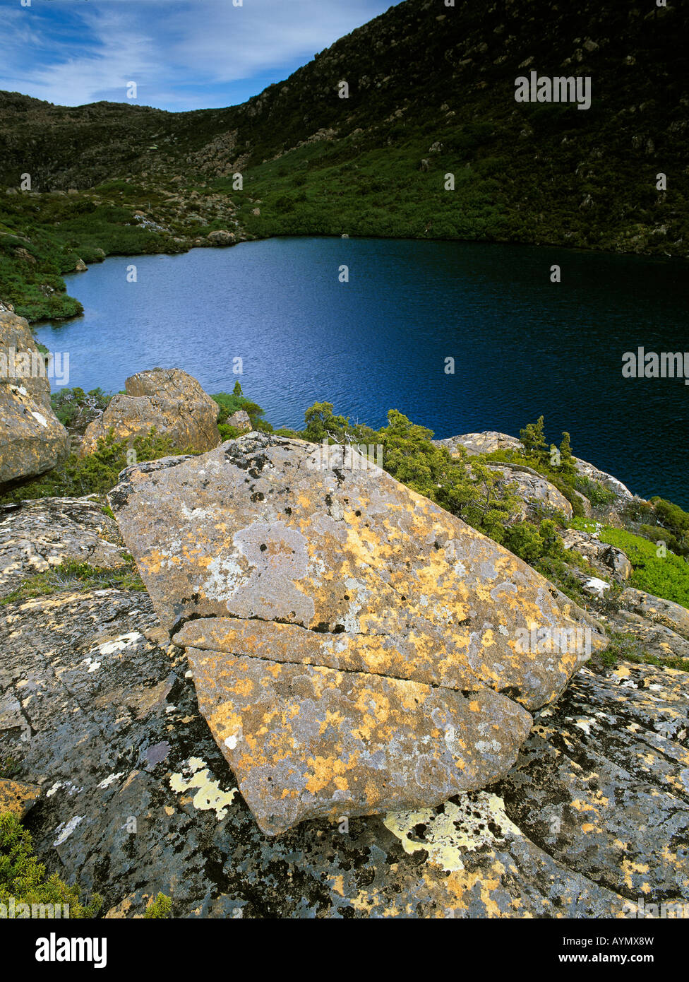 Alpine lake and rocks with lichens in Tarn Shelf Mount Field National ...