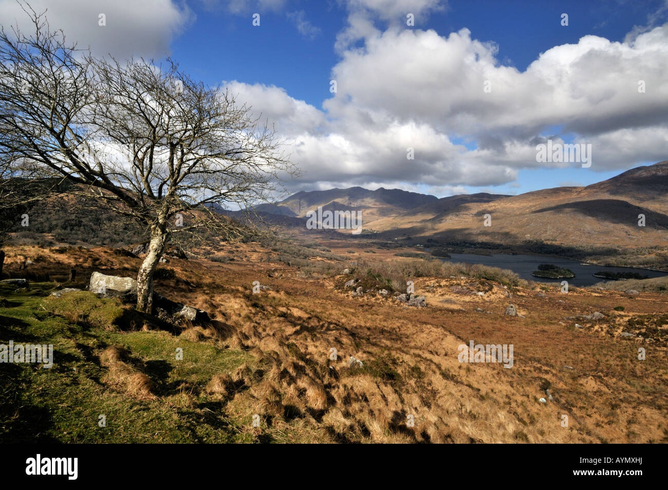 The Upper Lake Killarney blue sky white clouds ring of kerry county ...