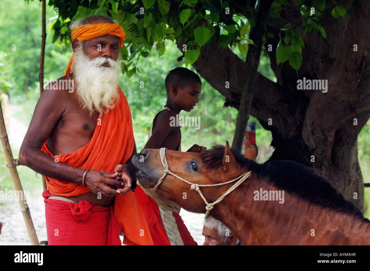 Child sadhu hi-res stock photography and images - Alamy