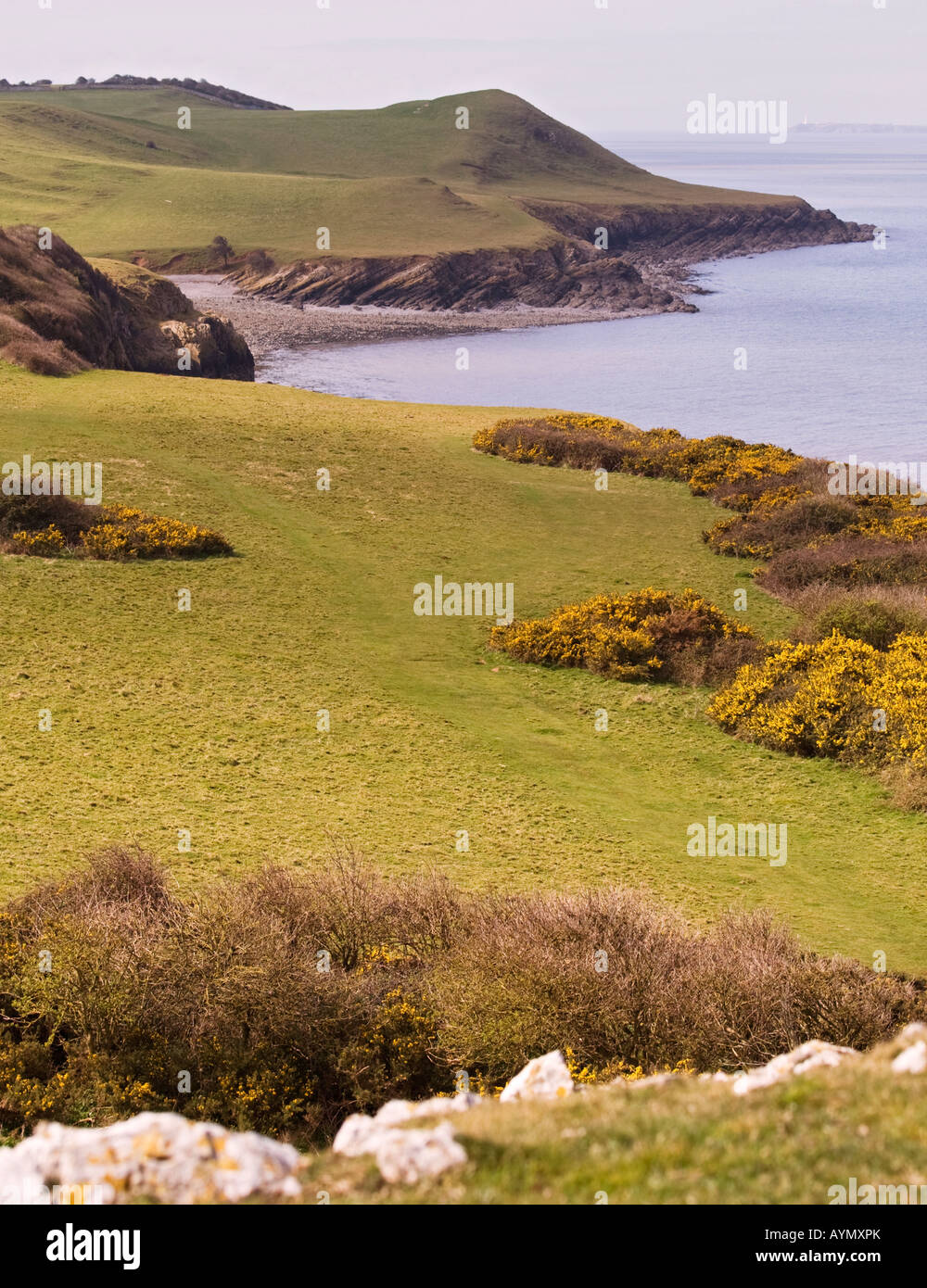 Beautiful seascape with grass growing on headland at coast in Somerset ...