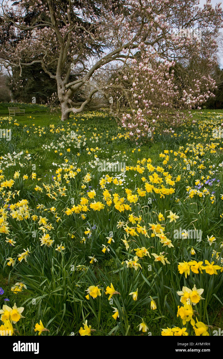 Spring Garden Norfolk April Stock Photo - Alamy