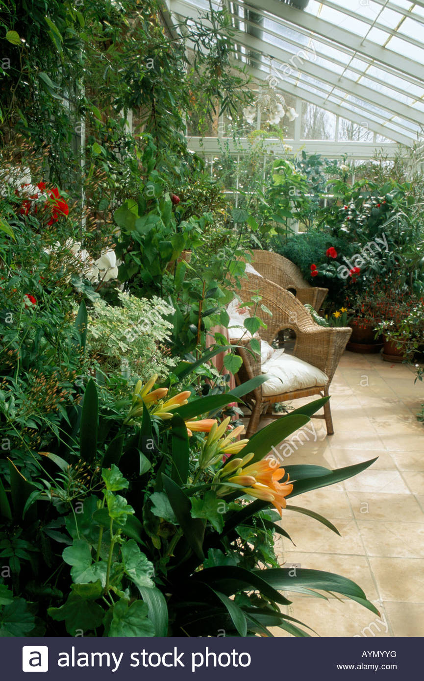 Conservatory Interior Stock Photos & Conservatory Interior Stock Images ...