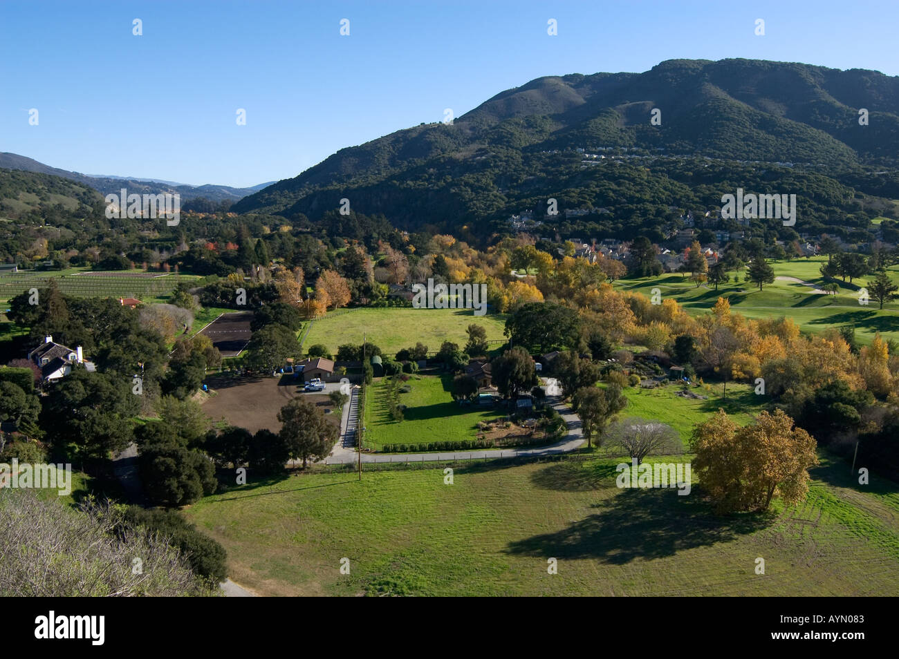 Deciduous trees turn yellow during autumn in a rural neighborhood ...