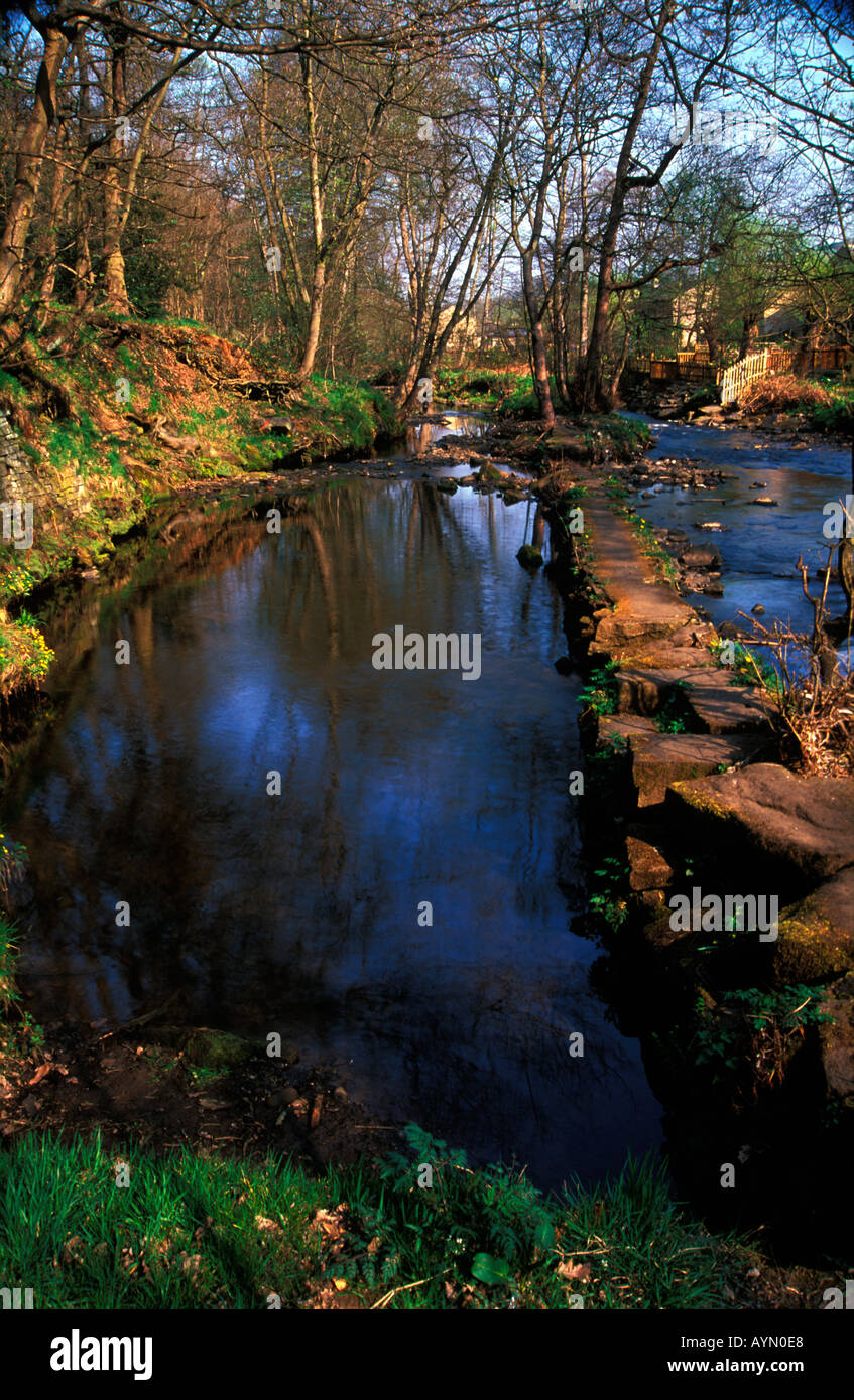 Derelict washpit, Hagg Wood, Holmfirth, West Yorkshire, England, UK ...