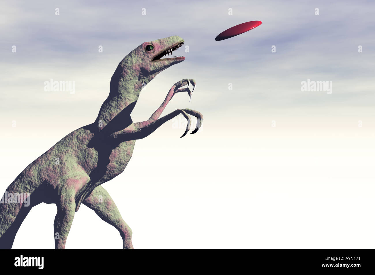 The frisbee game Stock Photo - Alamy