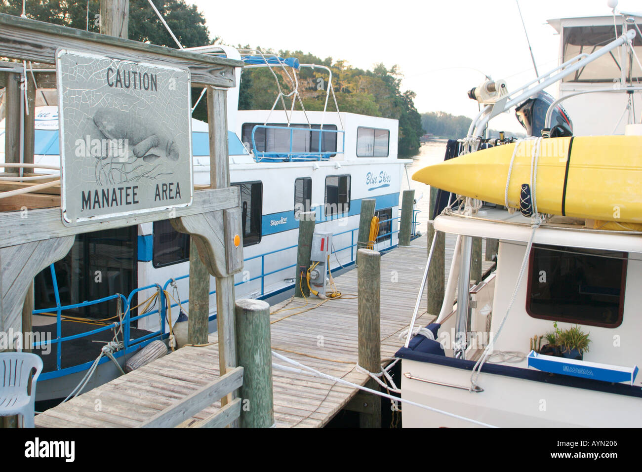 Port manatee hi-res stock photography and images - Alamy