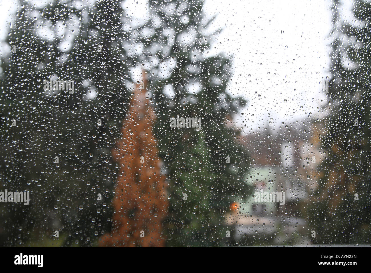 Regentropfen glas hi-res stock photography and images - Alamy