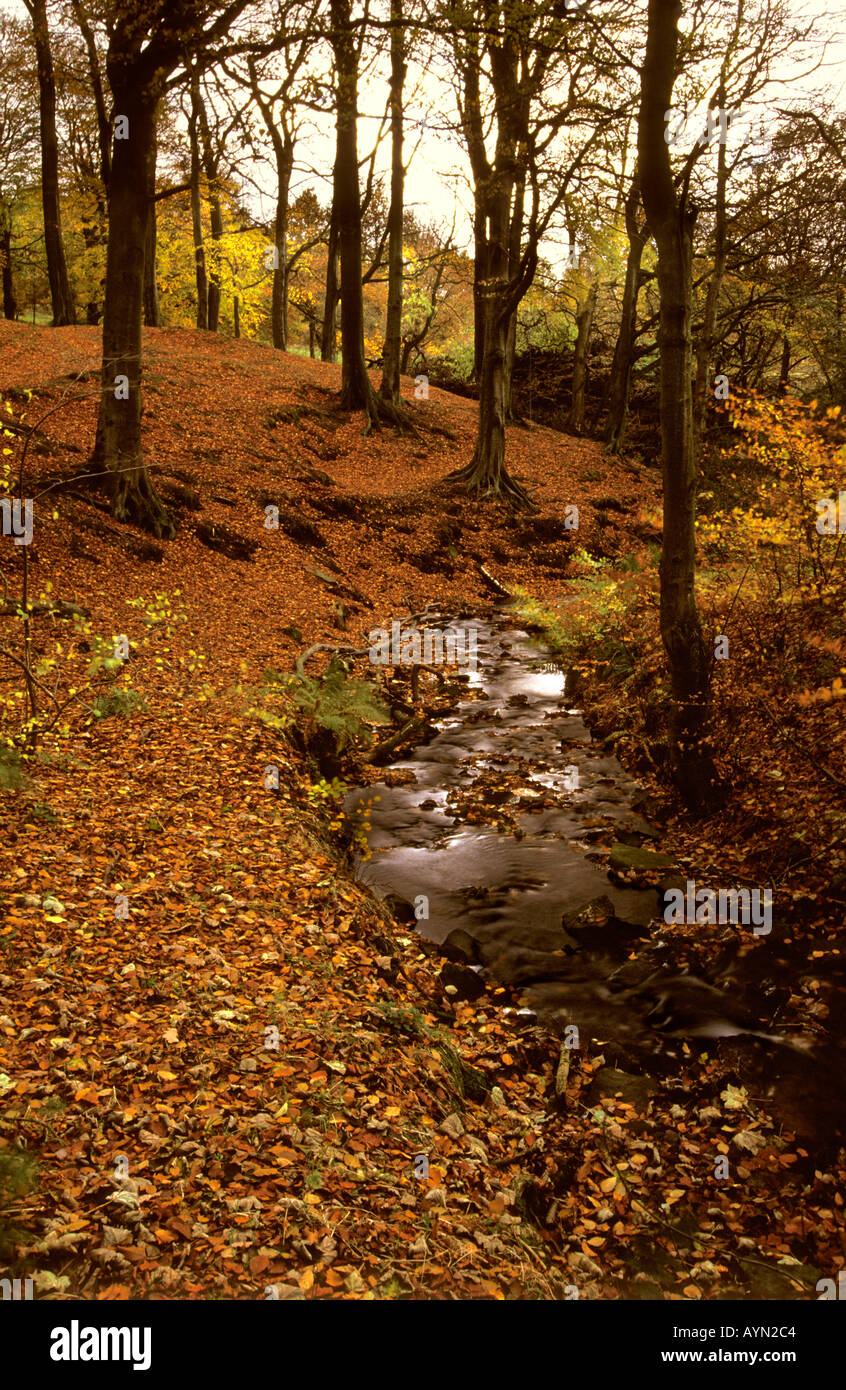 Meltham way hi-res stock photography and images - Alamy