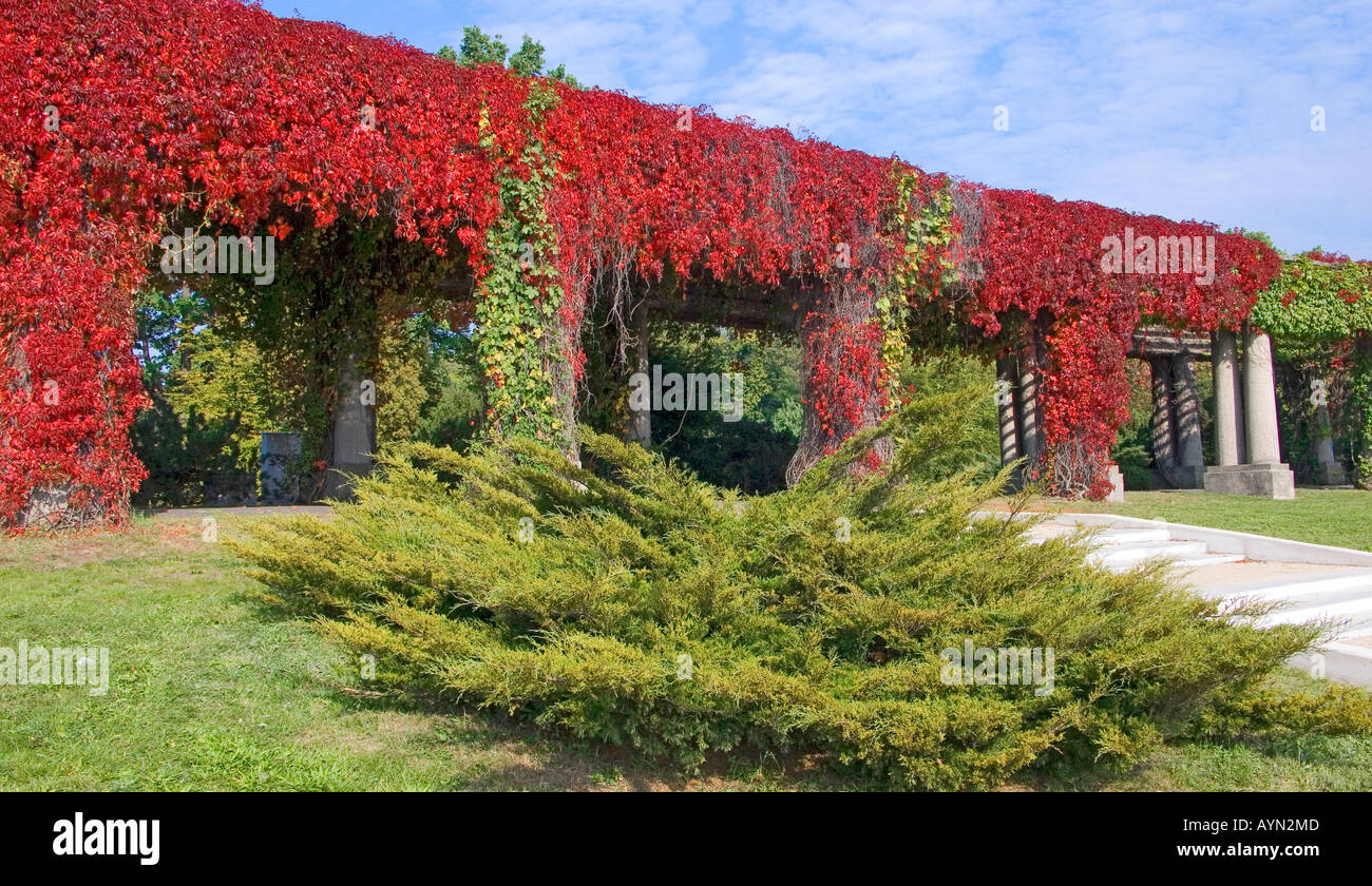 Pergola in autumn Wroclaw Poland Stock Photo - Alamy