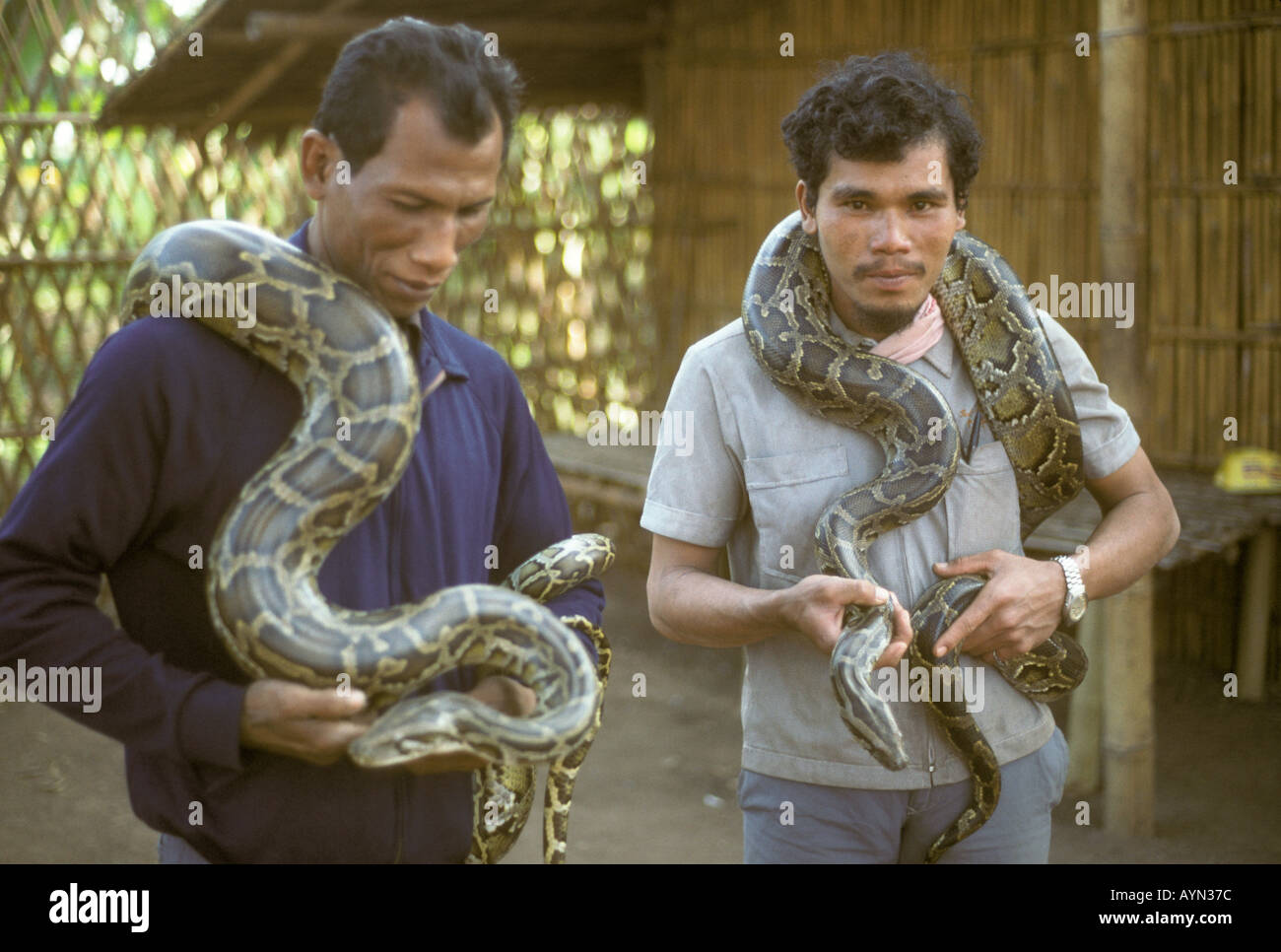 Asia Thailand Man with snake Stock Photo - Alamy