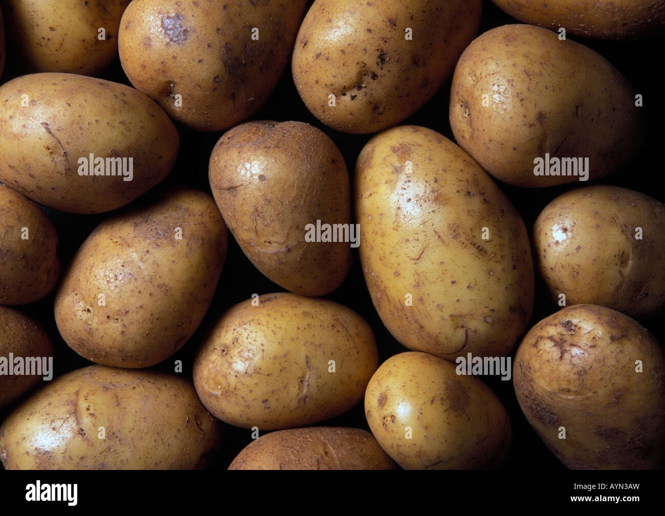 Maris Piper potatoes Stock Photo - Alamy
