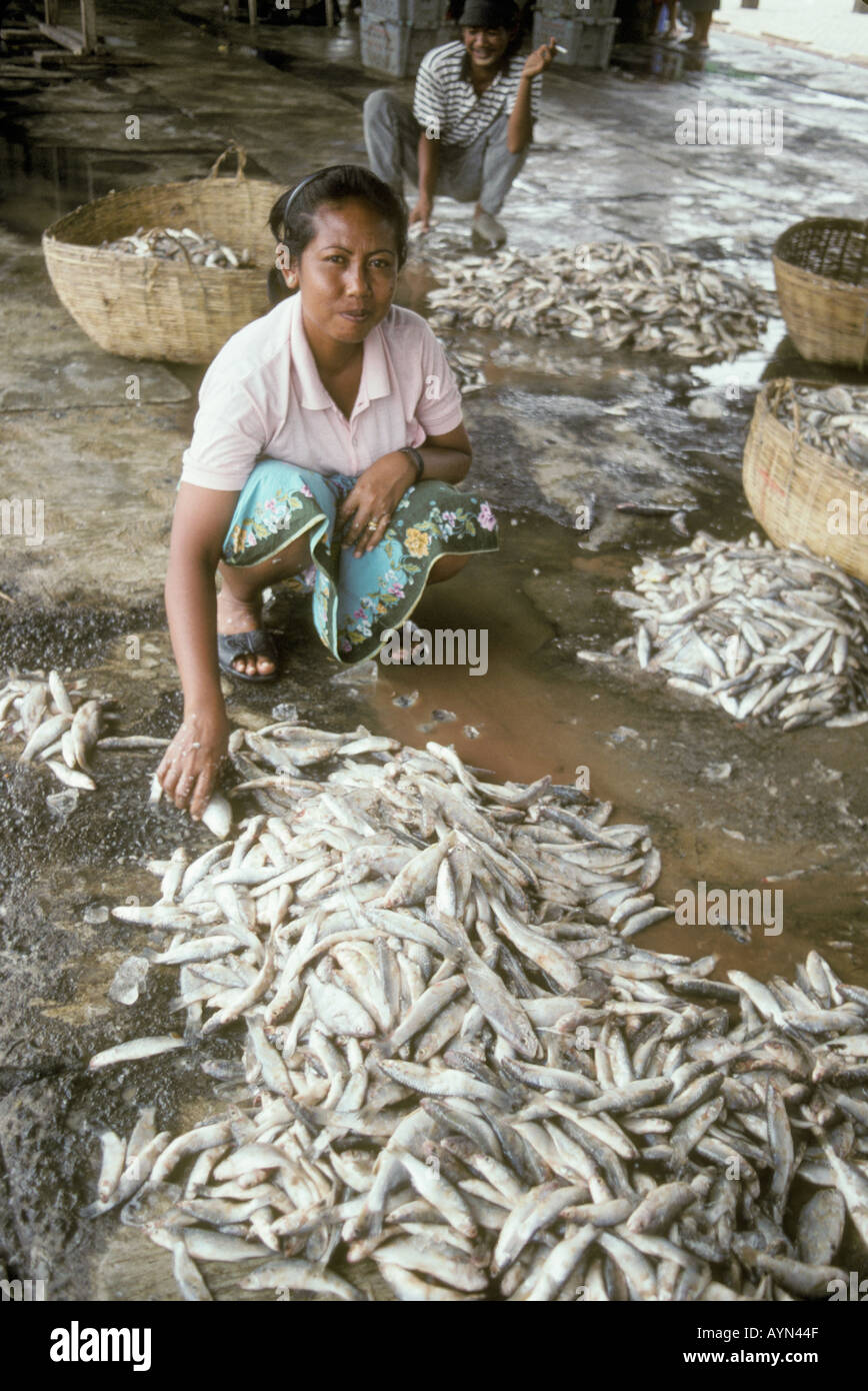 Asia Indonesia Java Jakarta Old port of Batavia Stock Photo - Alamy