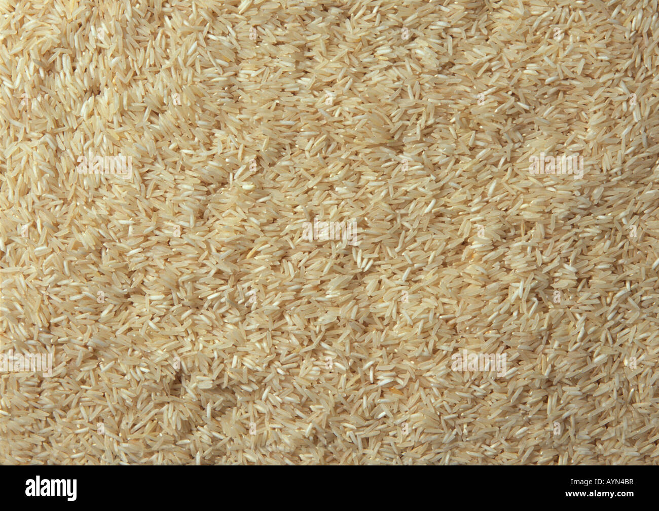 Uncooked basmati rice Stock Photo - Alamy