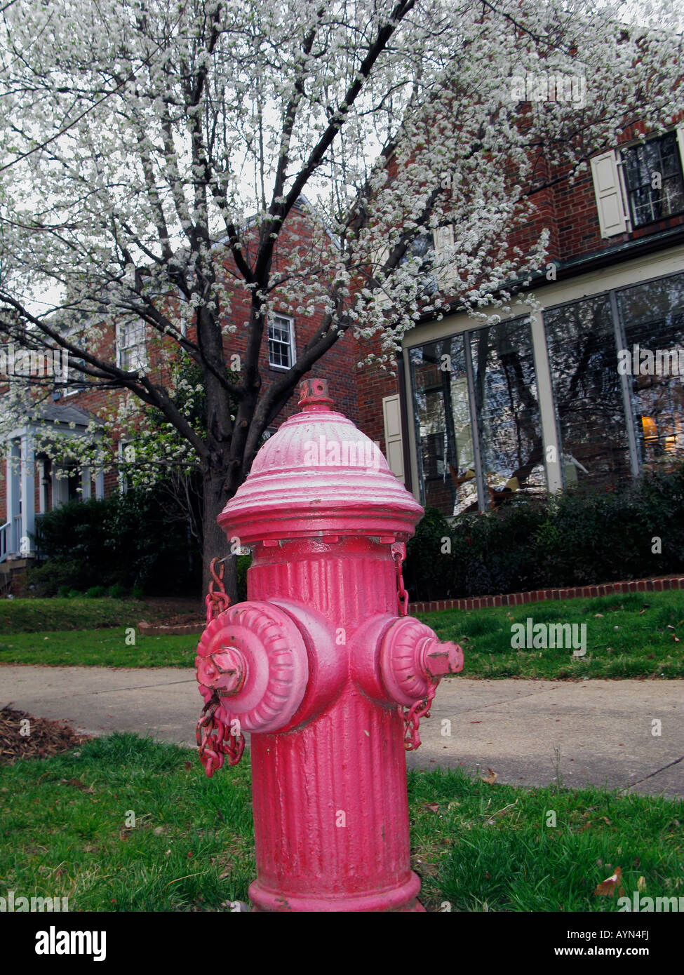 Fire Hydrant Street High Resolution Stock Photography and Images - Alamy