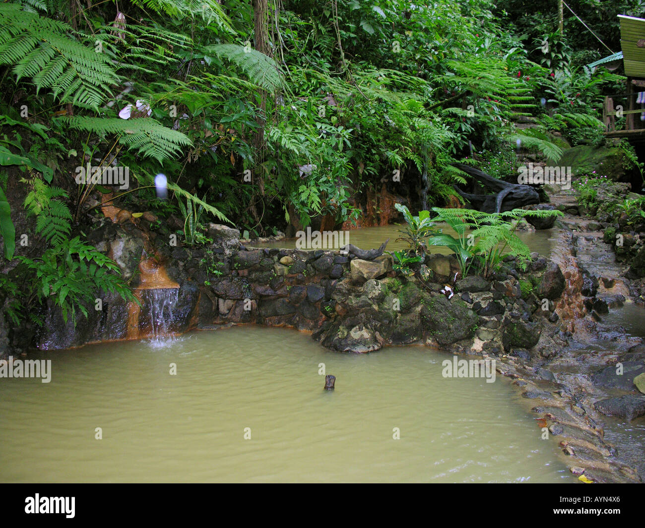 Therapeutic hot sulphur pools at Screws Sulphur Spa in the Roseau ...