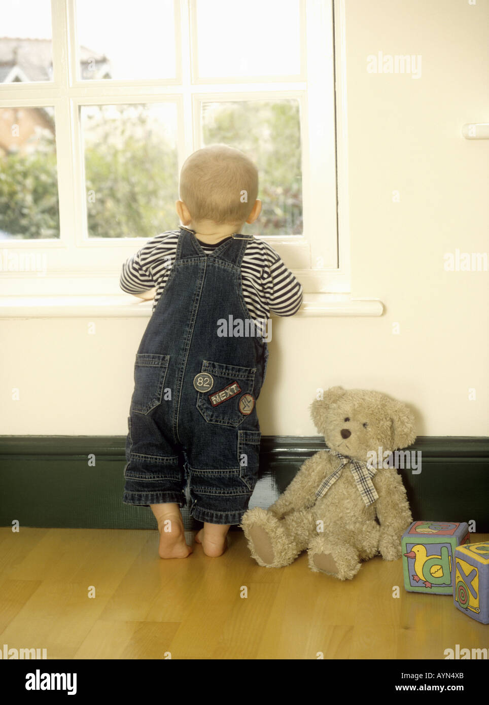 Baby boy standing up looking out of a window Stock Photo - Alamy