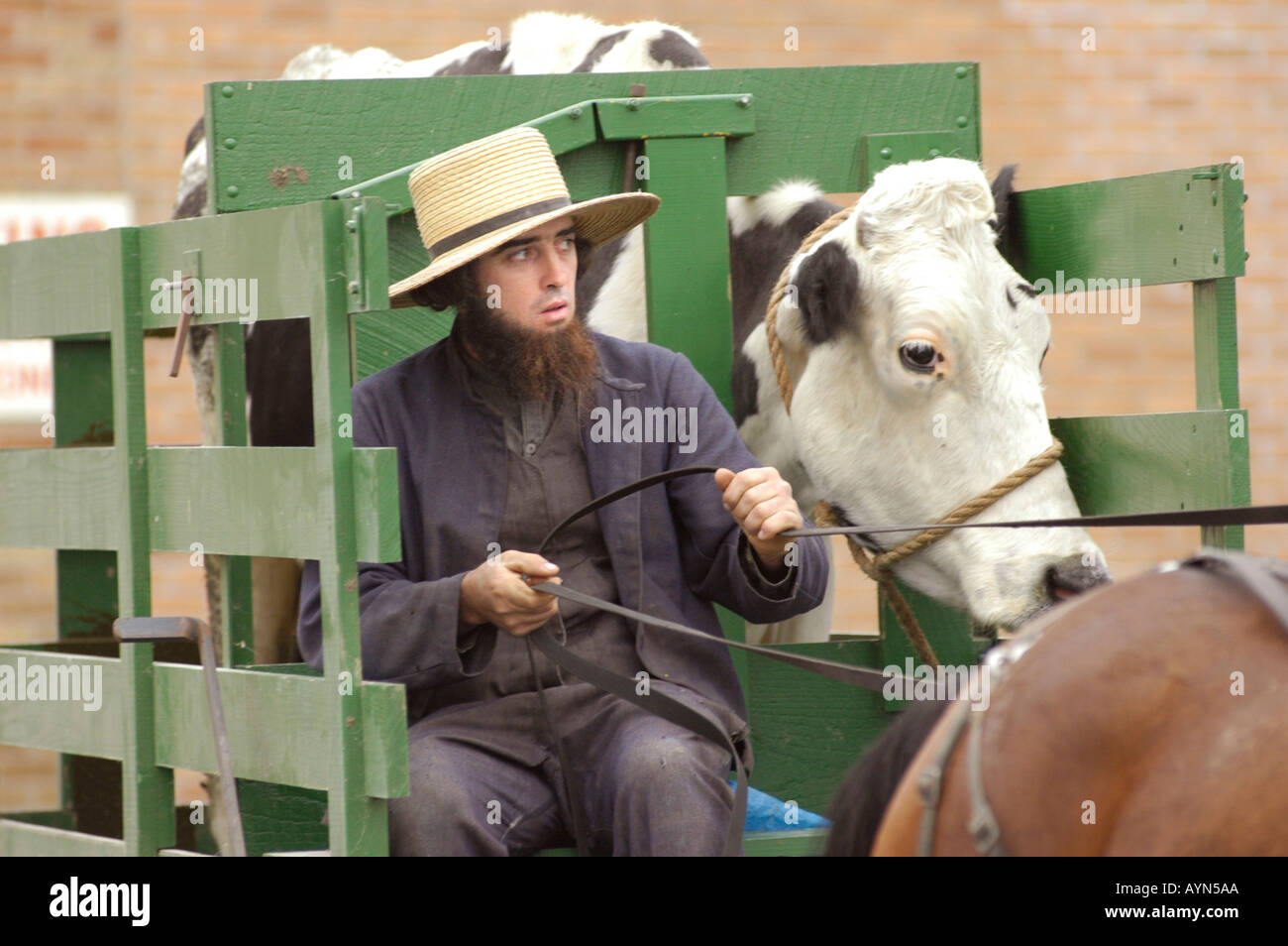 Kentucky and amish hi-res stock photography and images - Alamy