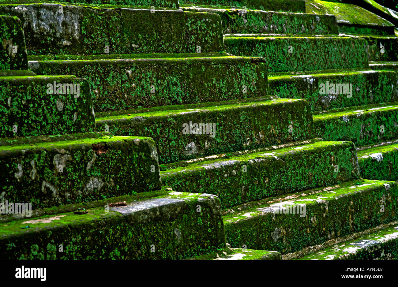 Mossy steps in Pashupatinath Temple complex in Kathmandu, Nepal, Asia ...