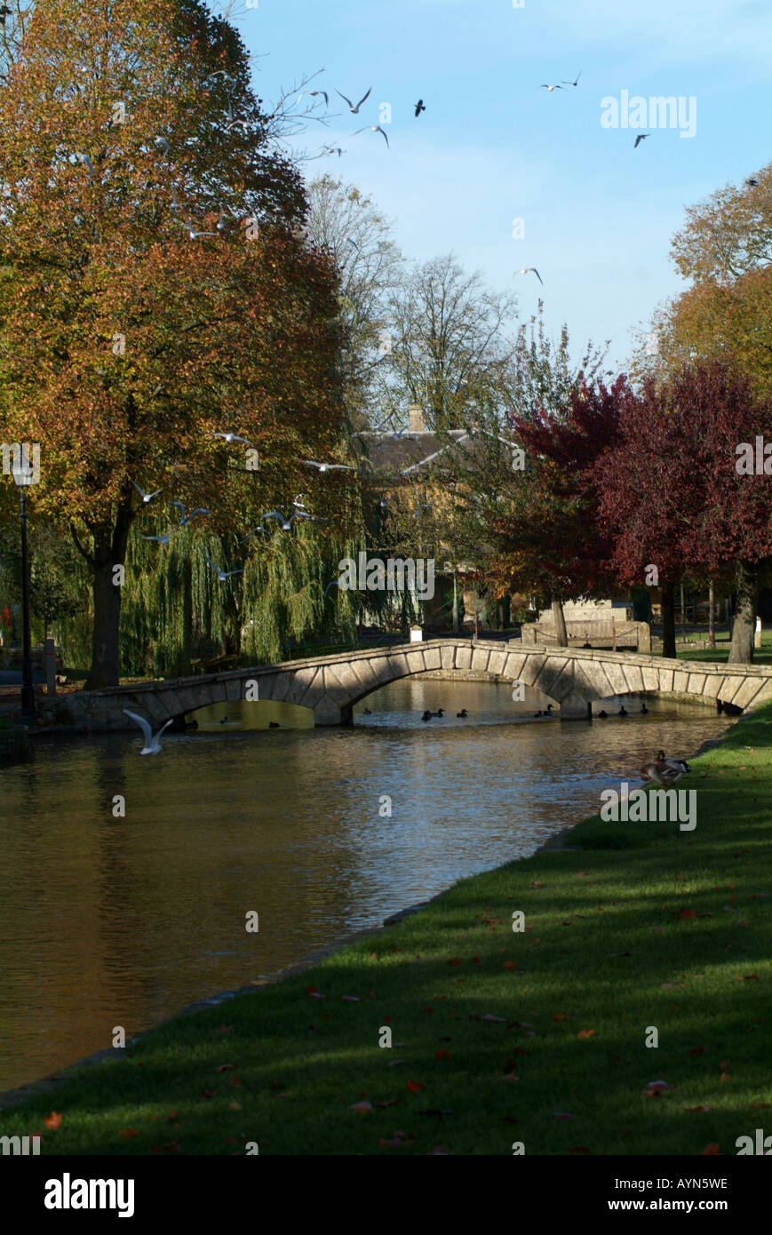 Bridge over the river Windrush flowing through Bourton-on-the-Water ...