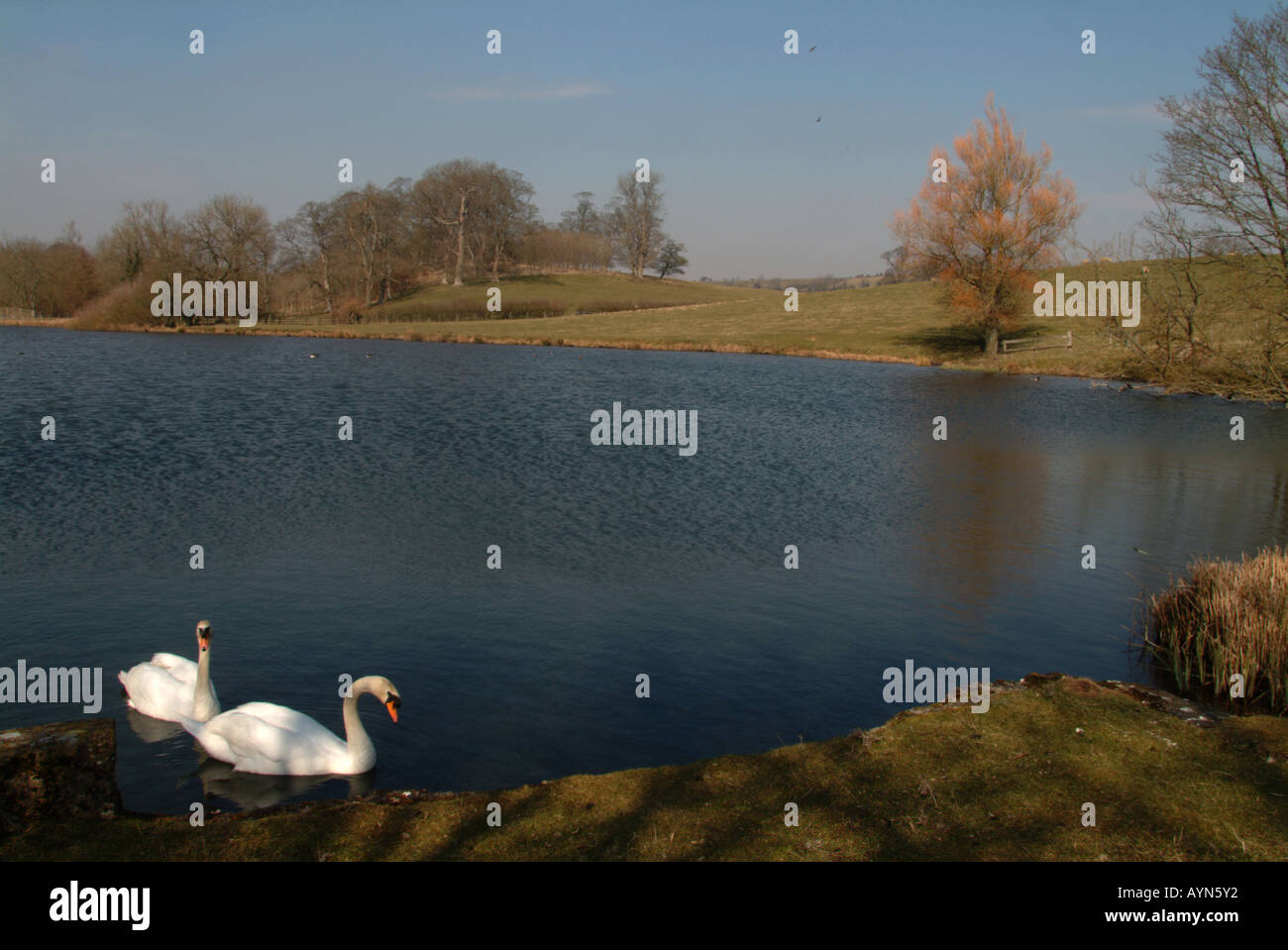 Weir, Upper ,Swell, Gloucestershire, Cotswolds, England, UK, United ...