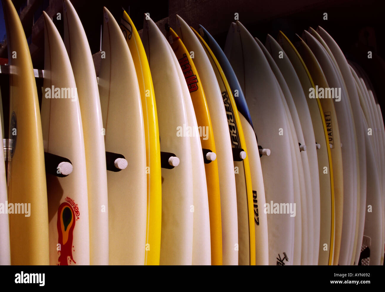 Australia surf boards shop hi-res stock photography and images - Alamy