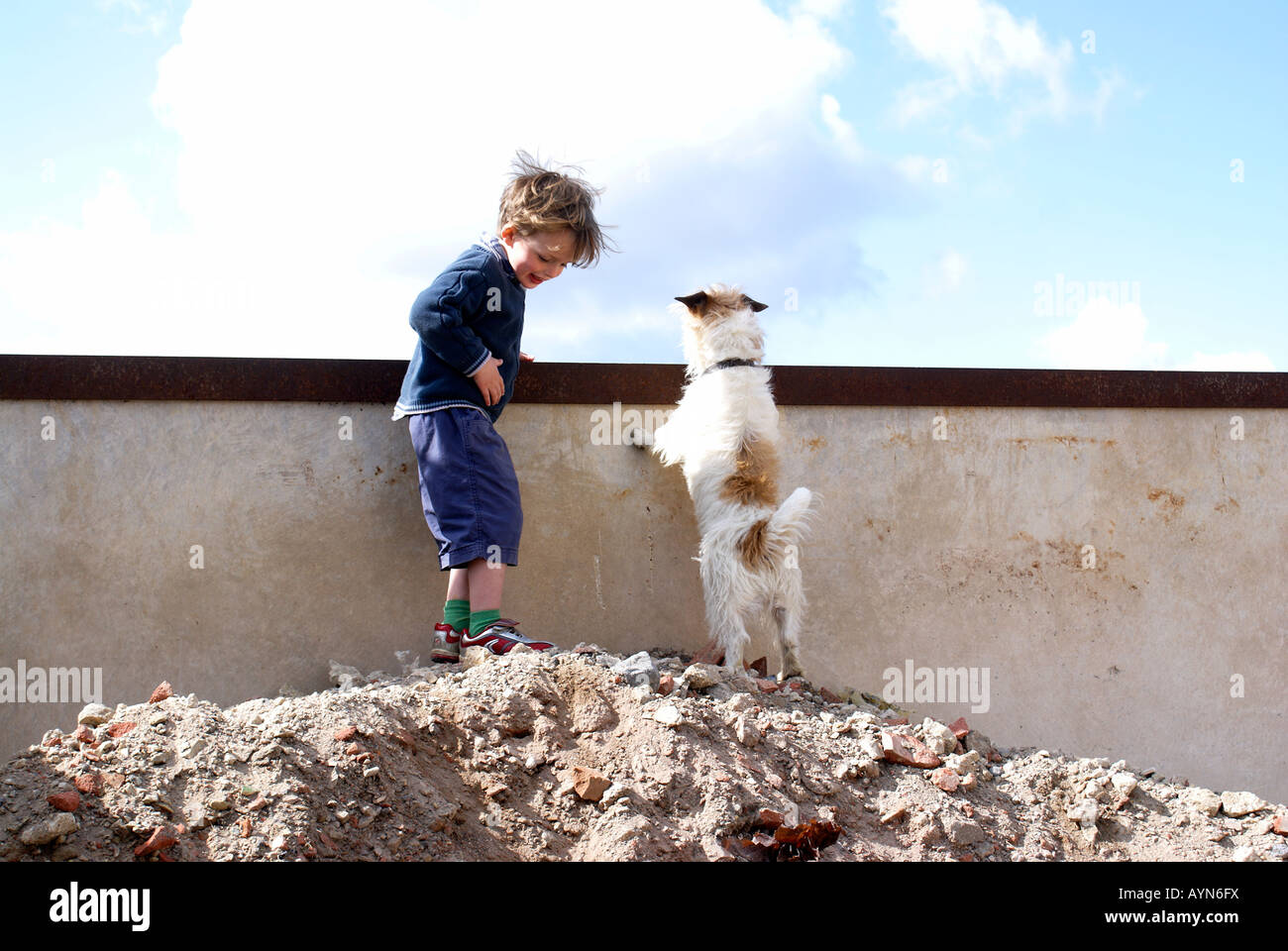 Amiability best hi-res stock photography and images - Alamy