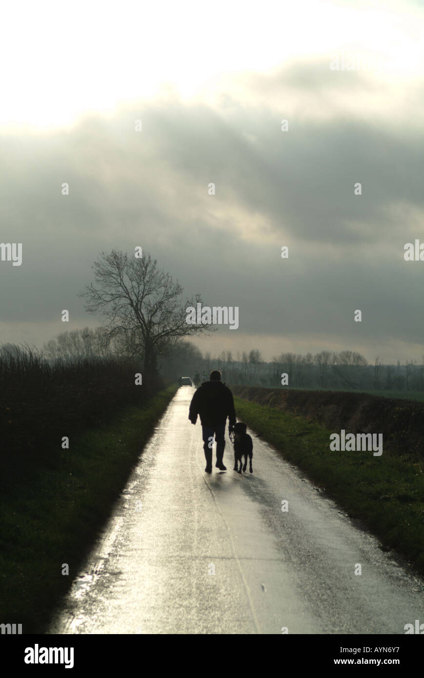 Man walking dog along country lane in the evening, near Cote ...