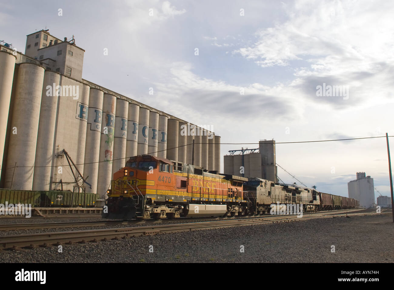 A BNSF grain train rolls by a giant grain elevator in the Texas Panhandle Stock Photo - Alamy