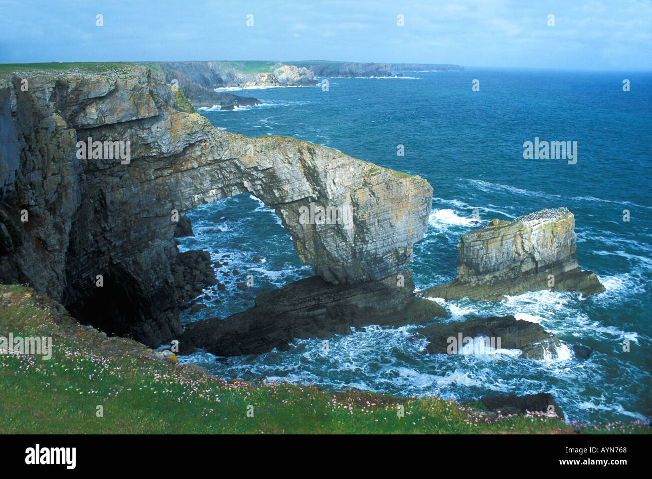 Green Bridge of Wales natural rock arch Pembrokeshire coast Pembroke ...