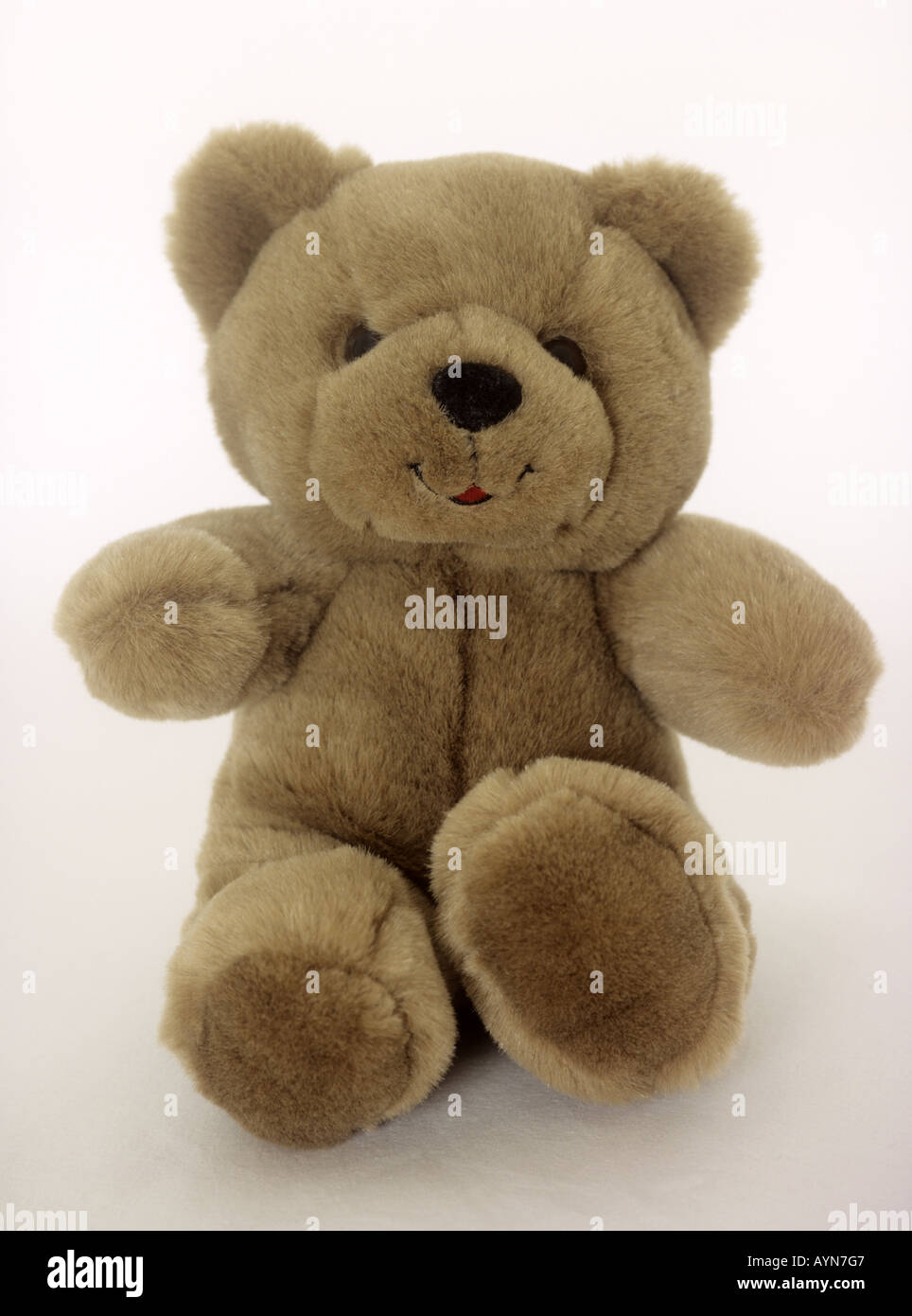 Teddybear still life hi-res stock photography and images - Alamy
