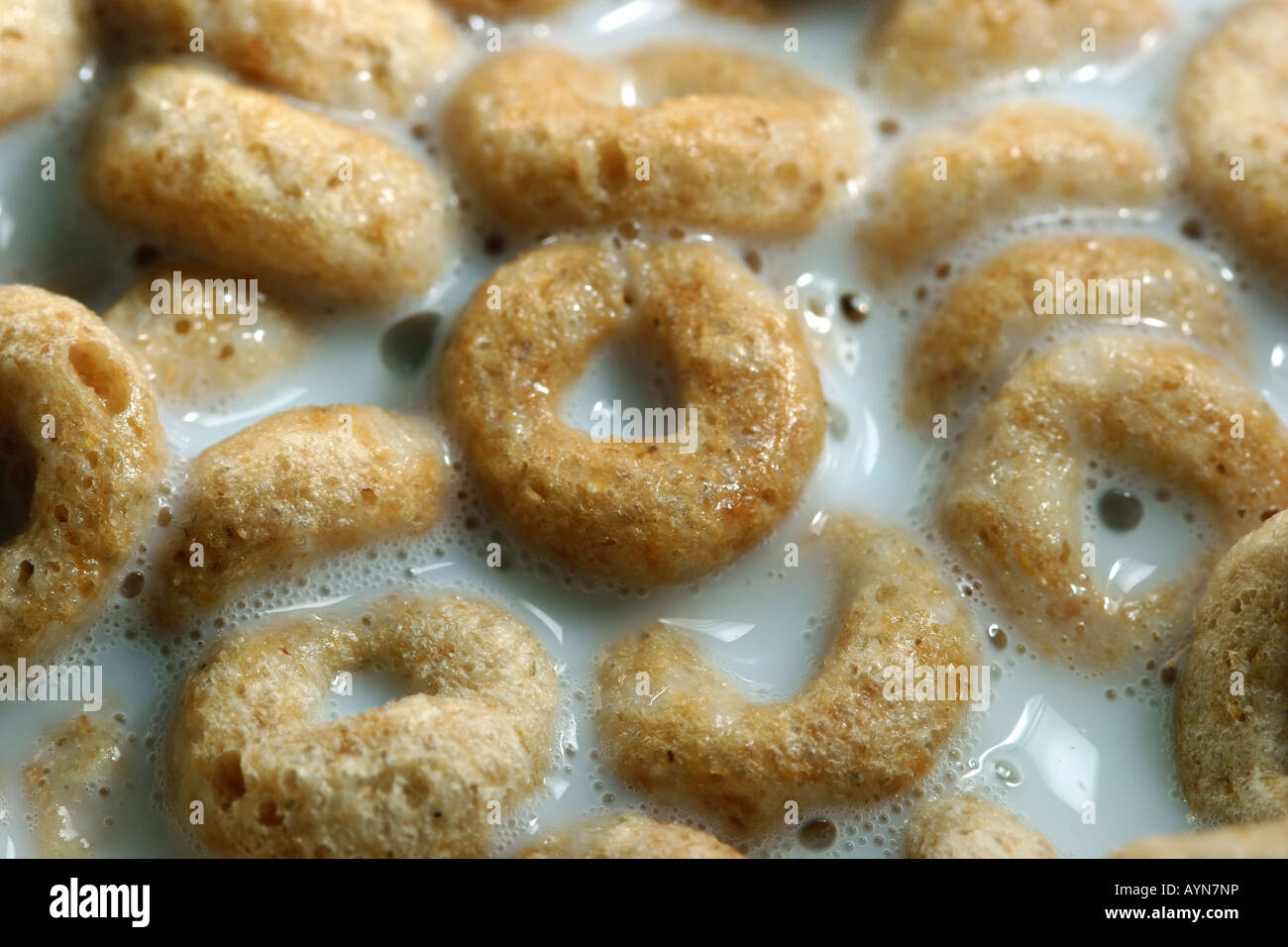 The classic way to start your morning Cheerios and milk Macro close up ...