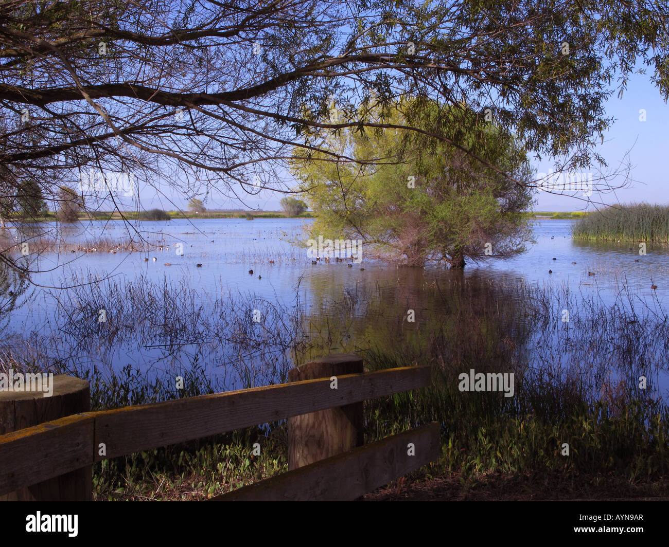 Merced National Wildlife Refuge, Merced, CA USA Stock Photo - Alamy