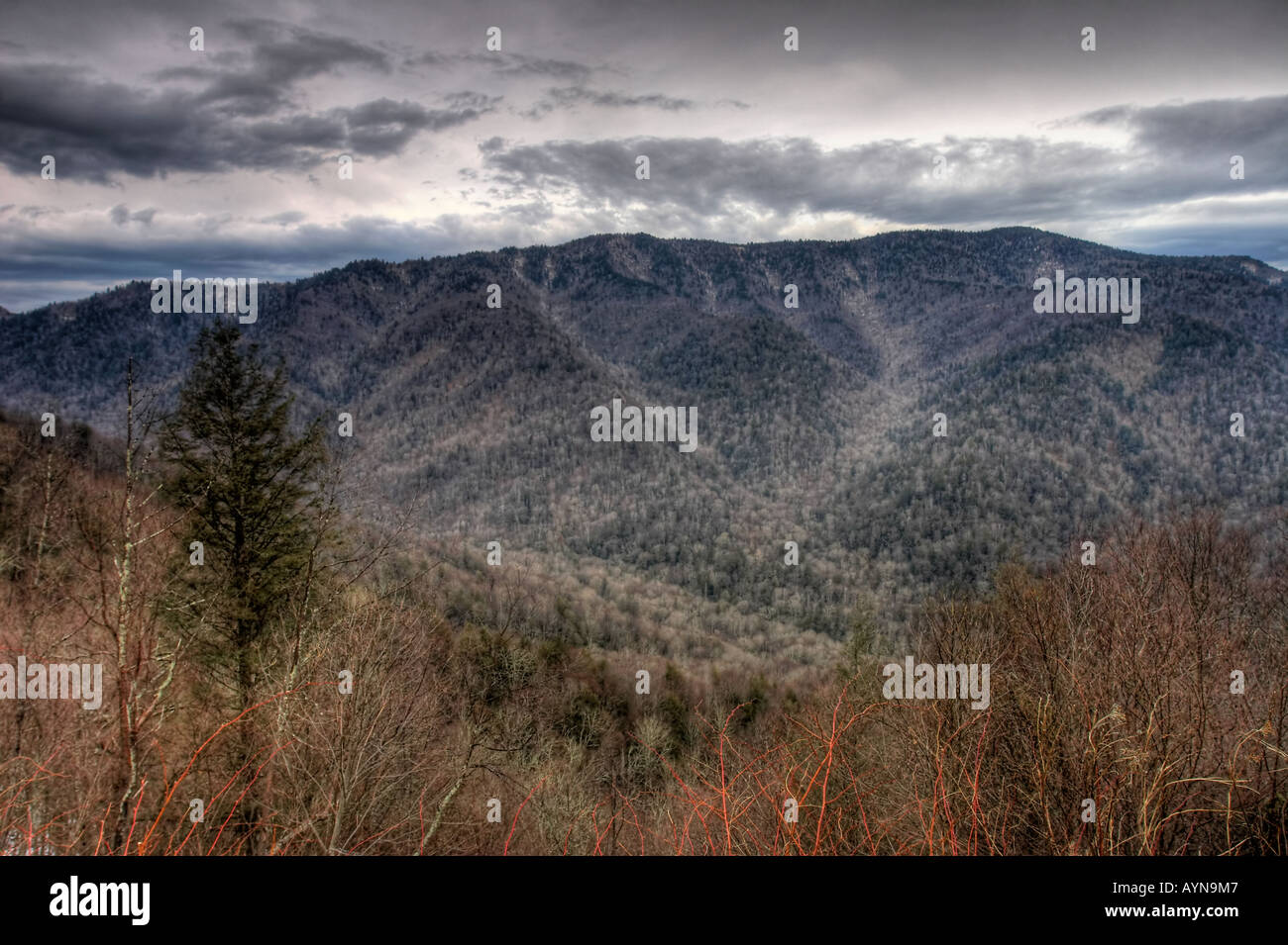 mountain great smoky mountains tree trees bushes sky clouds cloudy high ...
