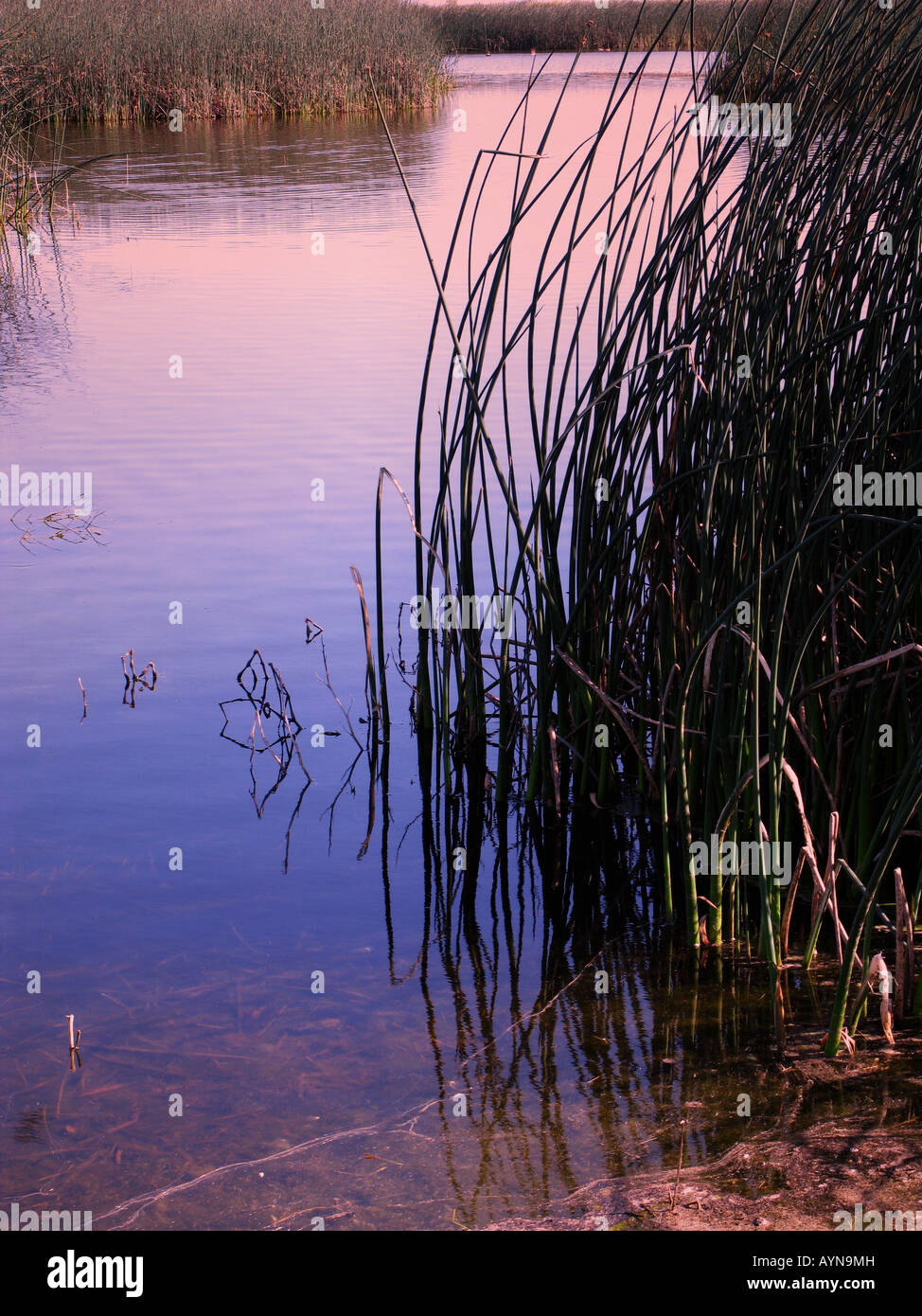 Merced National Wildlife Refuge, Merced, CA USA Stock Photo - Alamy