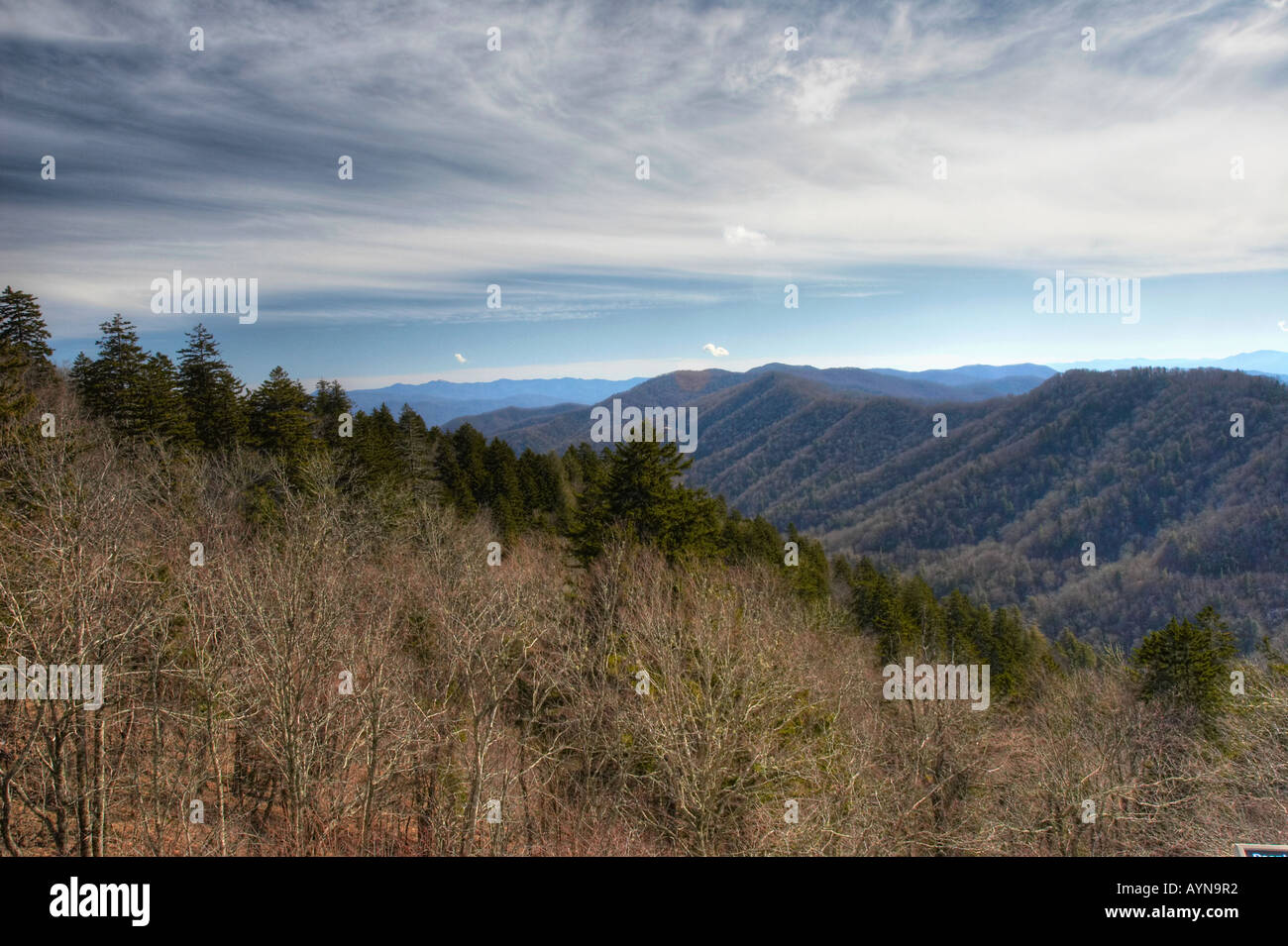great smoky mountains mountain trees pine smoke cloudy overcast day ...