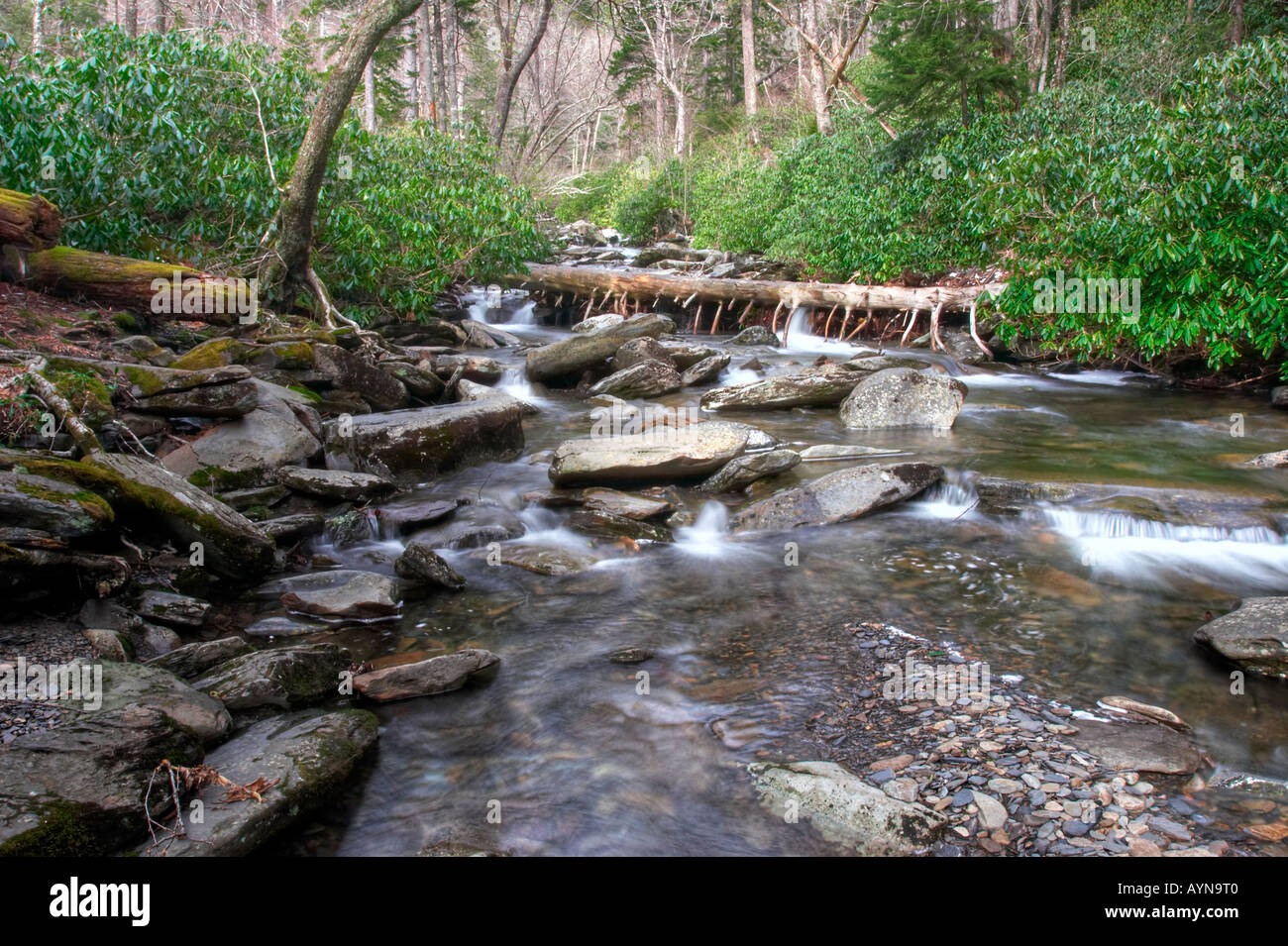mountain river water steram flow rocks trees woods forest great smoky ...