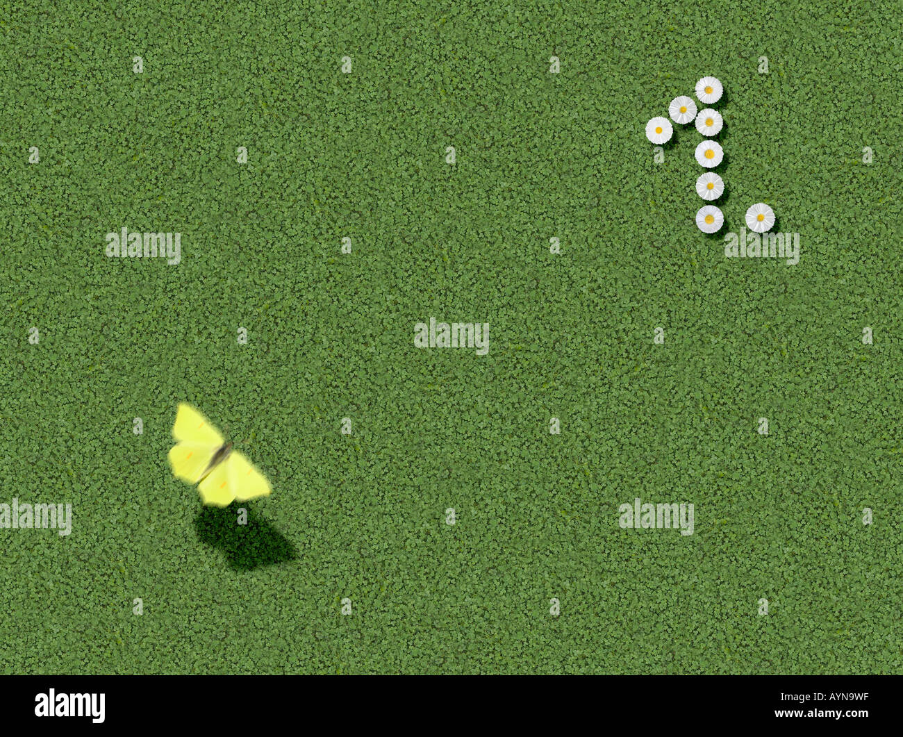 Number 1 word hi-res stock photography and images - Alamy