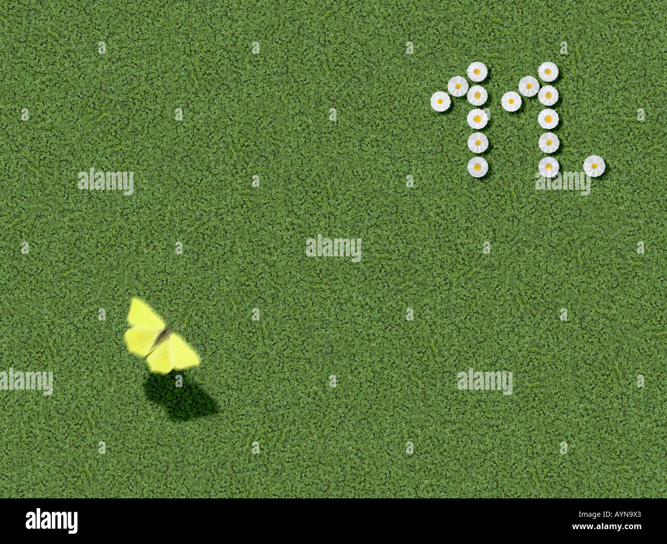 Number 11 written flowers hi-res stock photography and images - Alamy