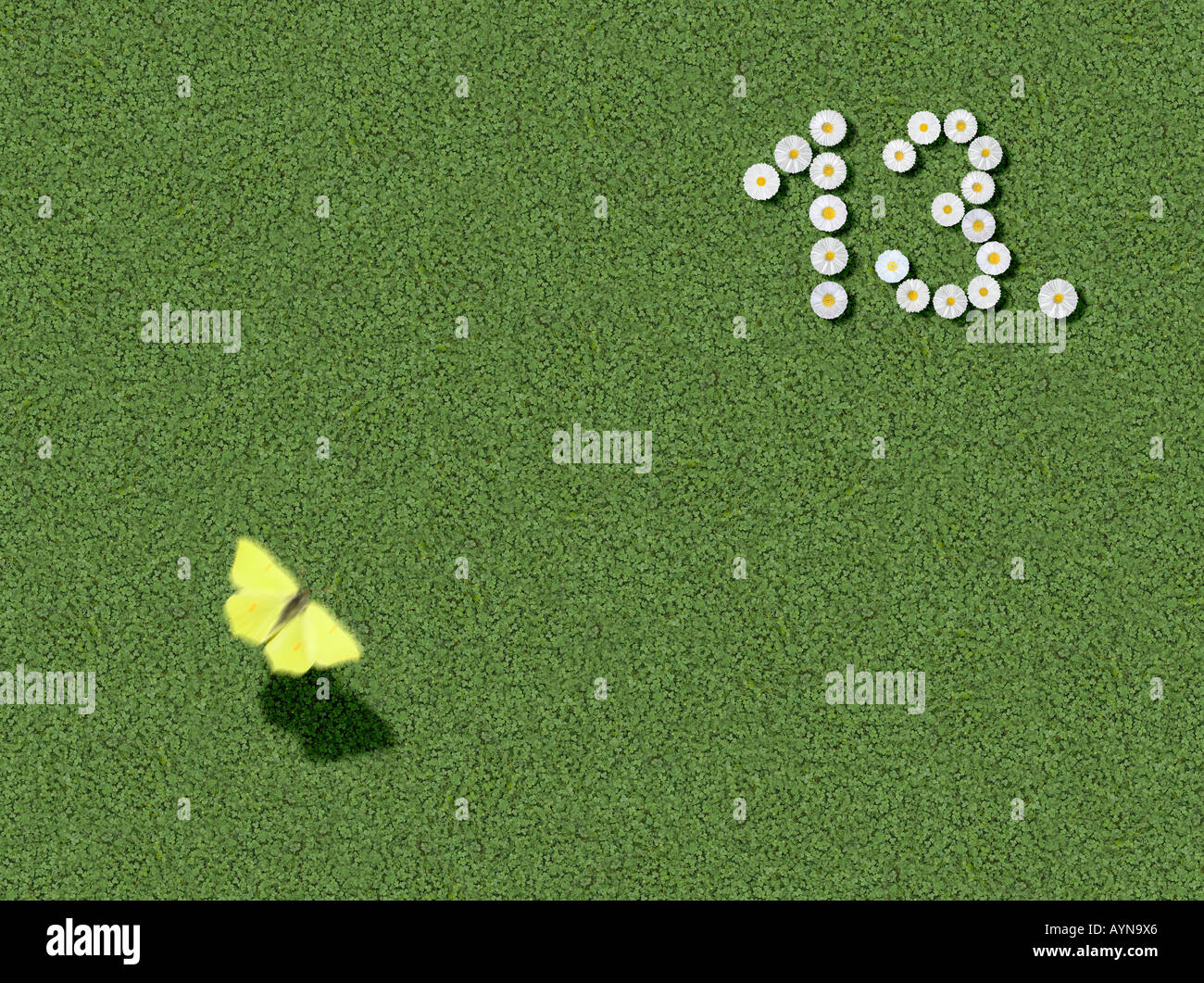 Number 13 hi-res stock photography and images - Alamy