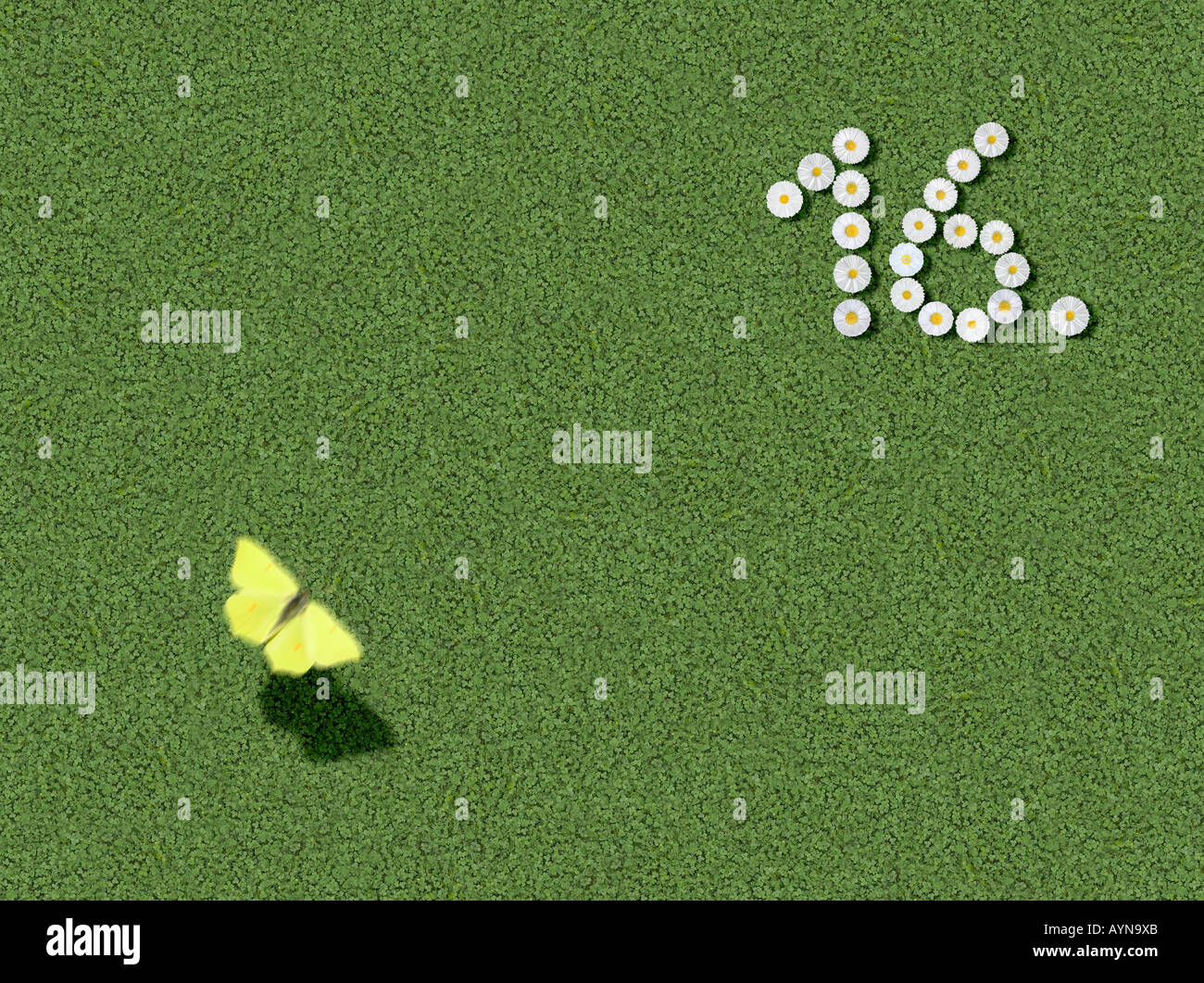 number written with daisies 16th 16 th spelled out prewritten edited ...
