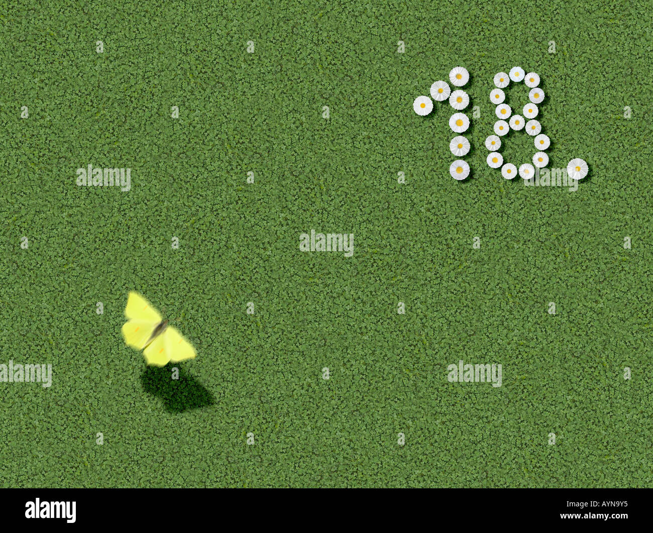 Number 18 hi-res stock photography and images - Alamy