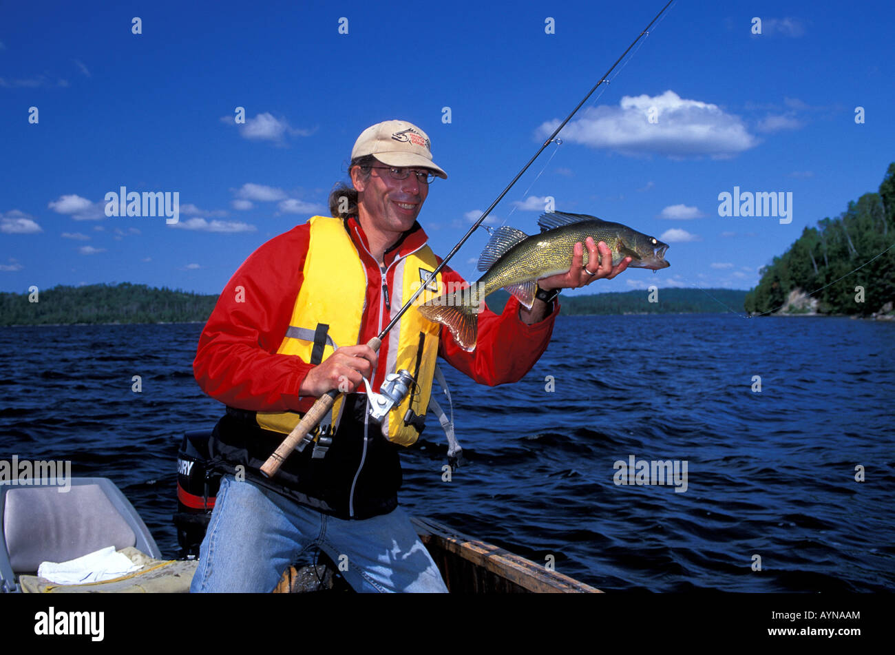 man catching walleye Stock Photo - Alamy