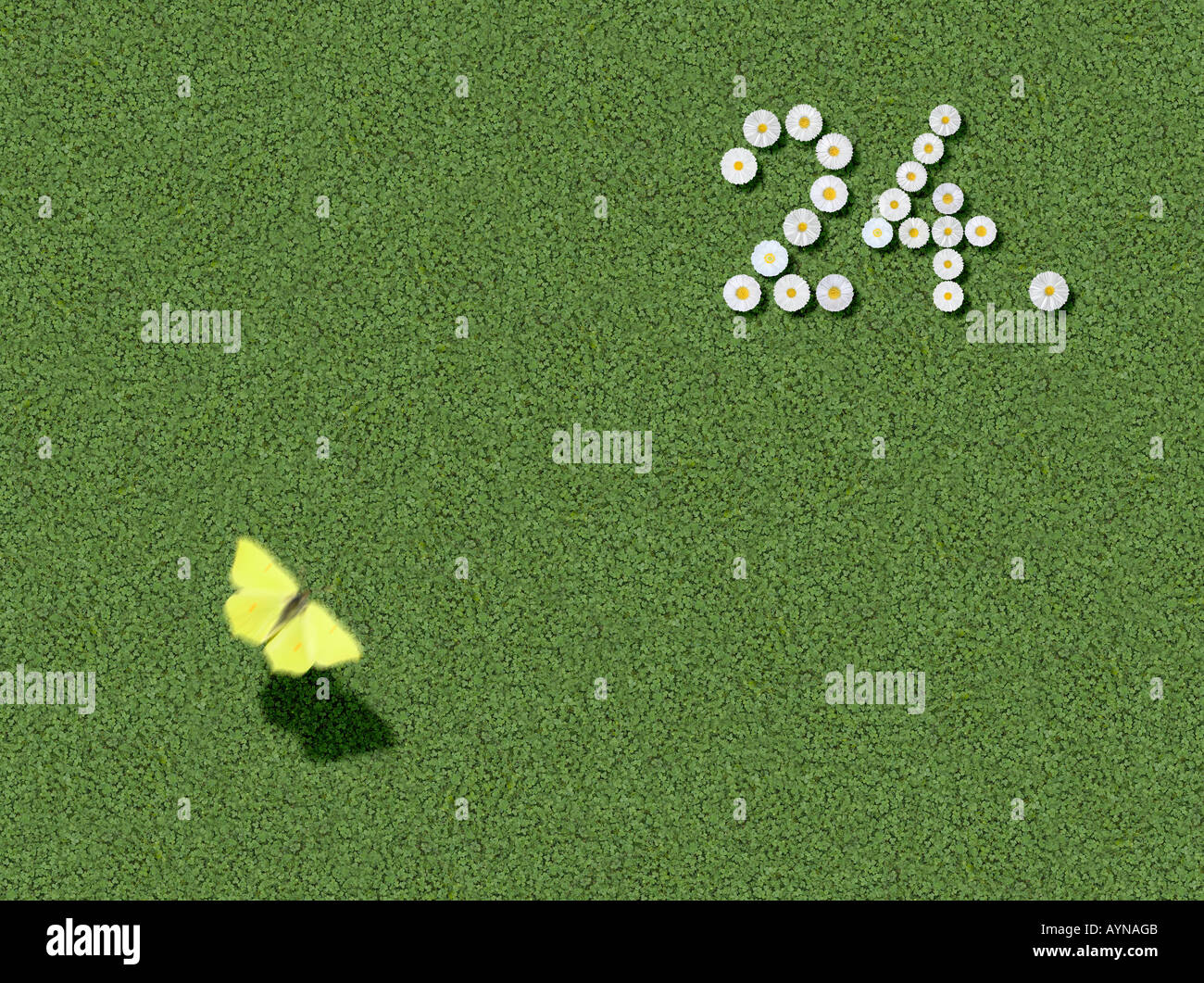 Number 24 hi-res stock photography and images - Alamy