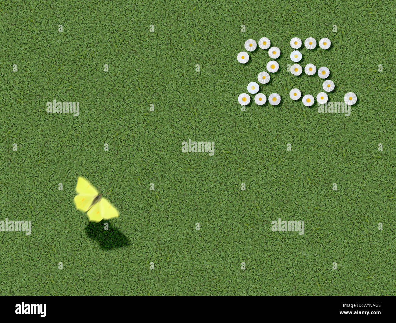 Prewritten hi-res stock photography and images - Alamy