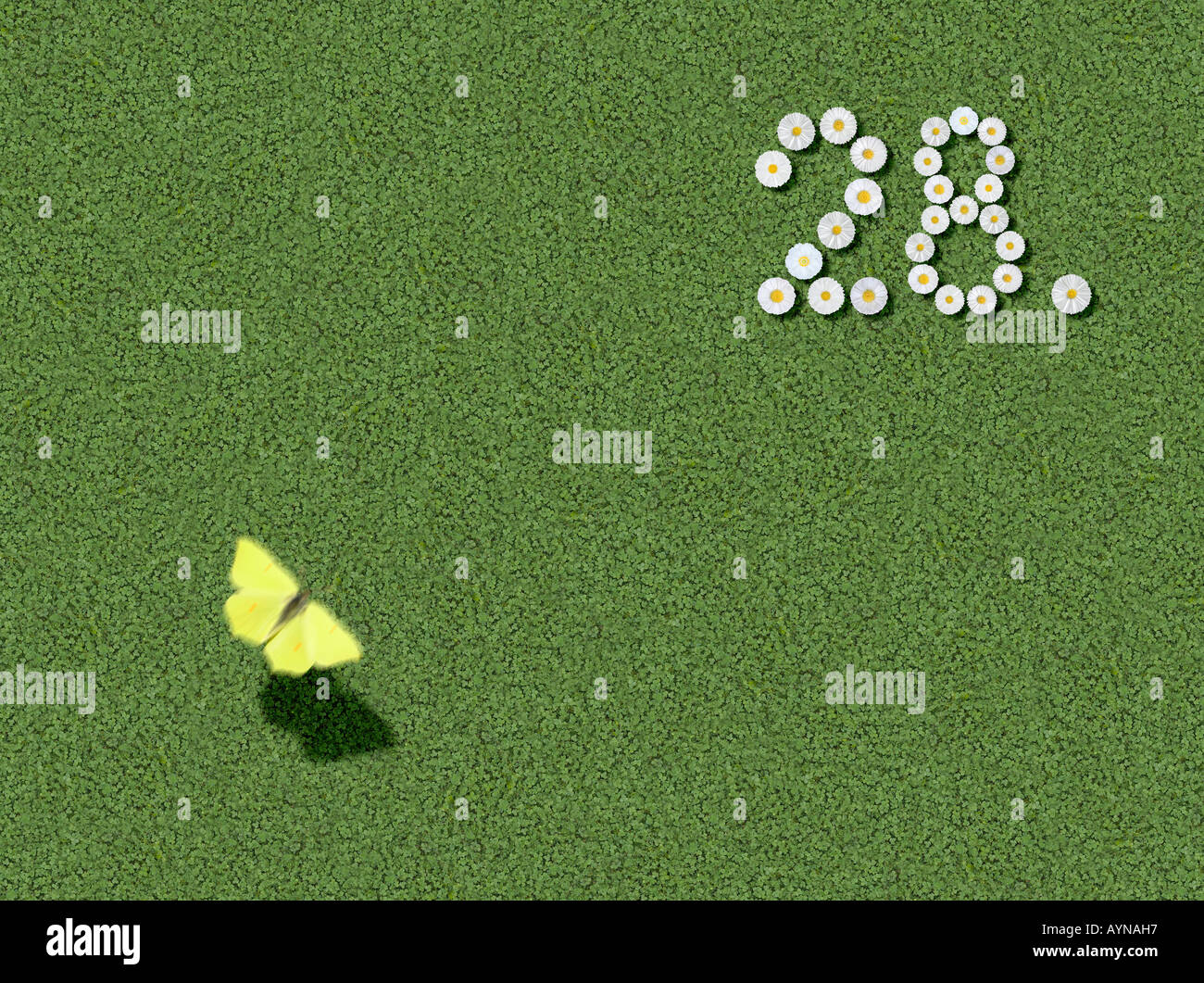 Number 28 hi-res stock photography and images - Alamy