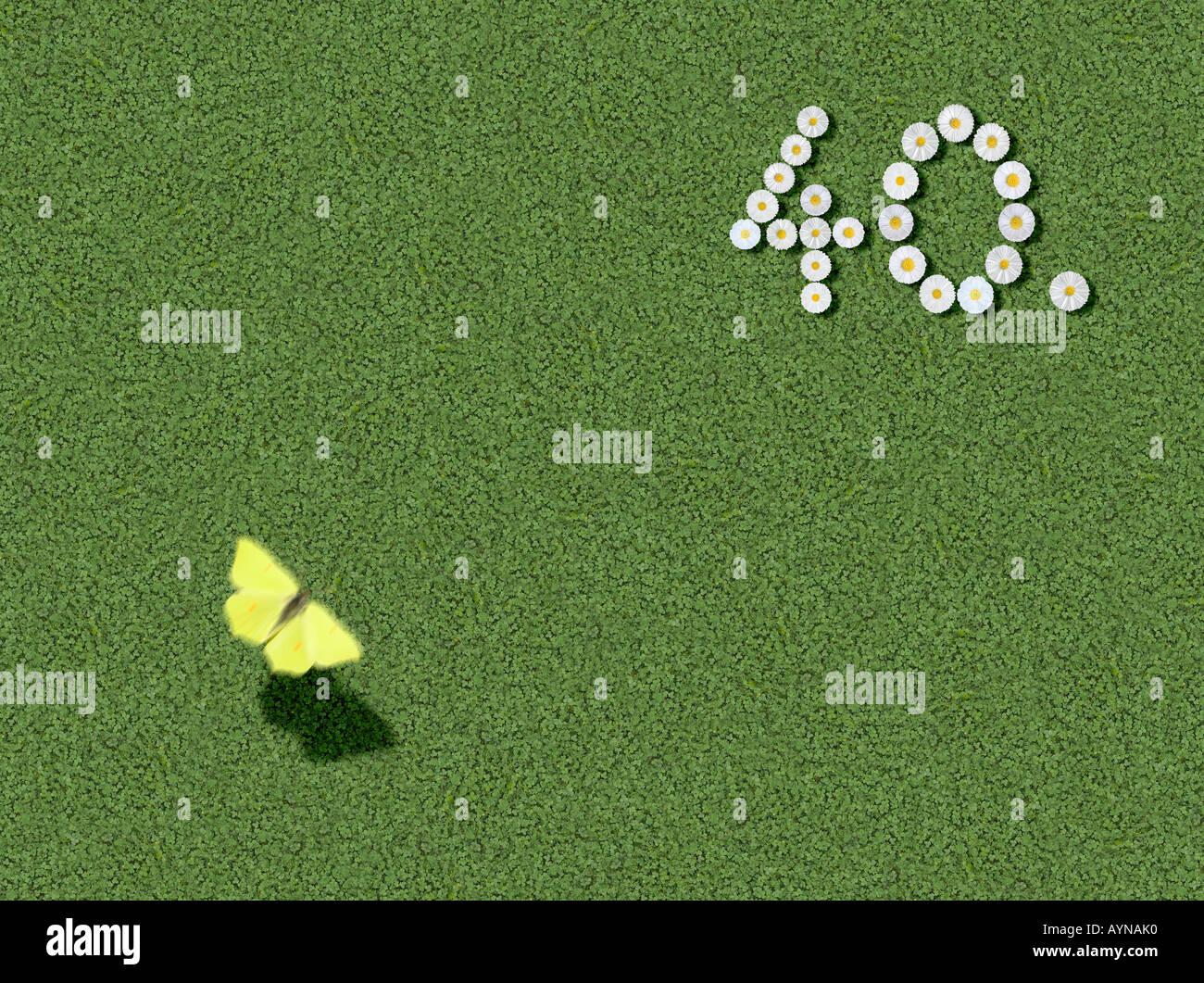 Number 40 hi-res stock photography and images - Alamy